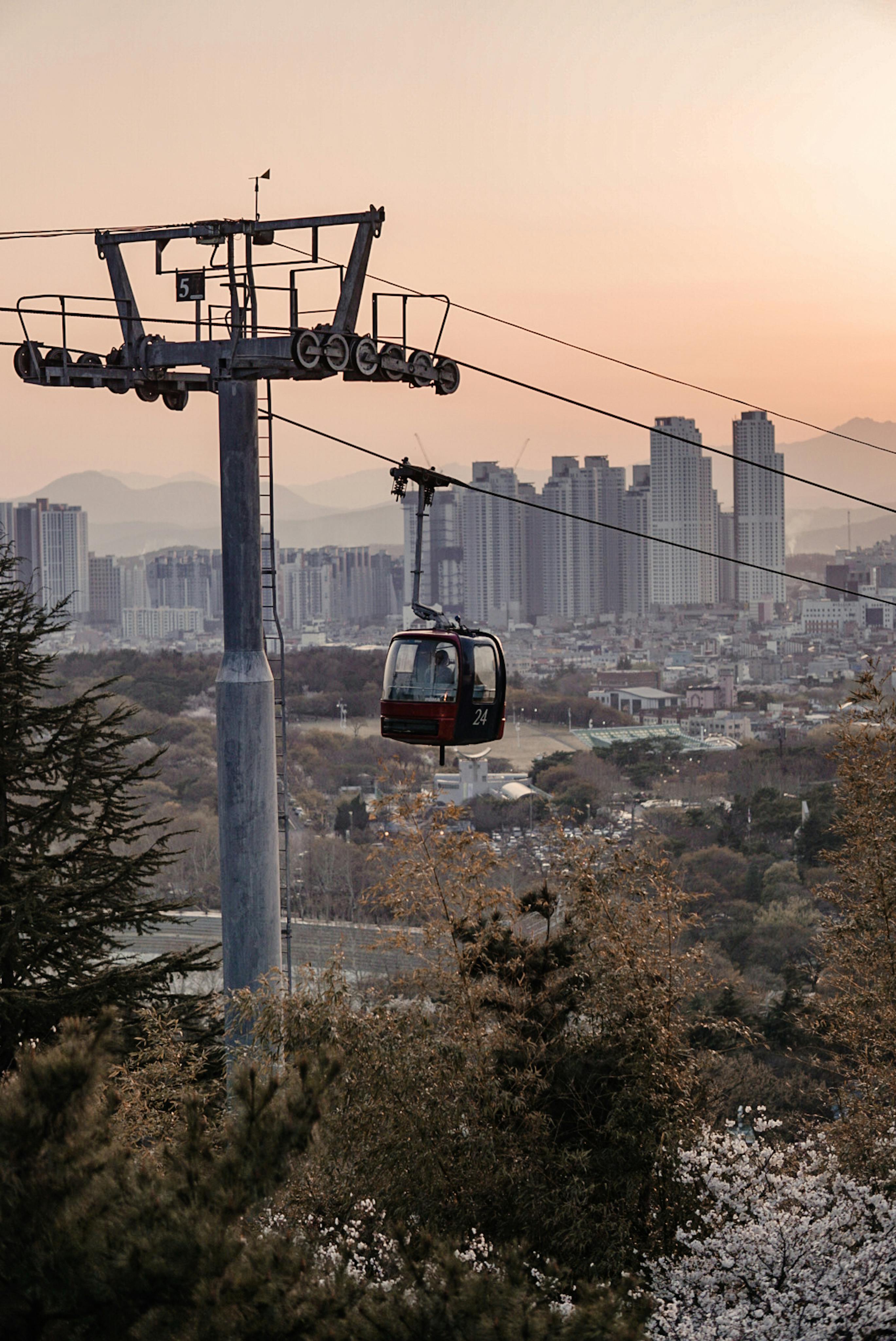 Cable Car Over Green Trees · Free Stock Photo