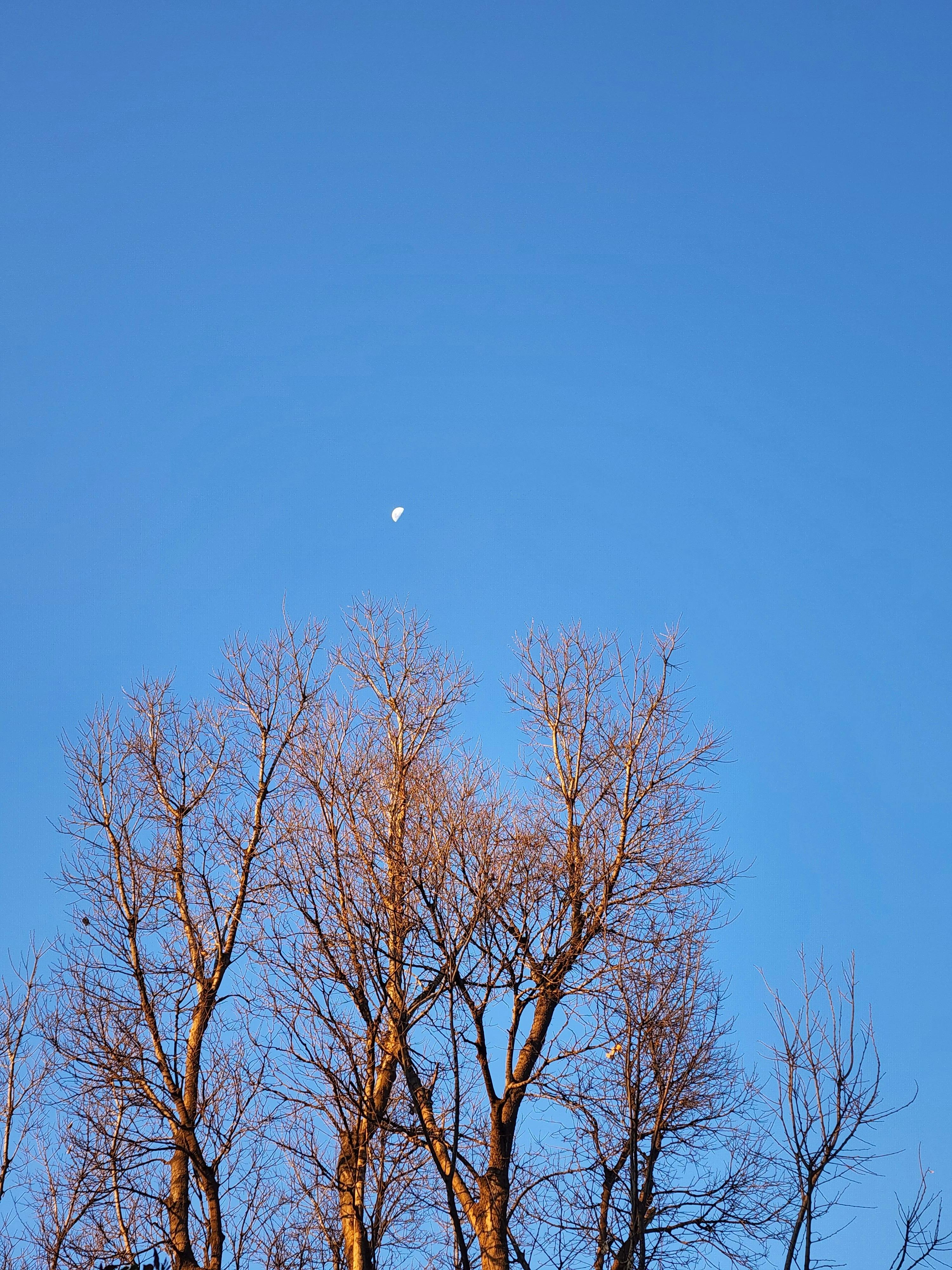 Divide Into Branches 6 Letters Photos, Download Free Divide Into ...