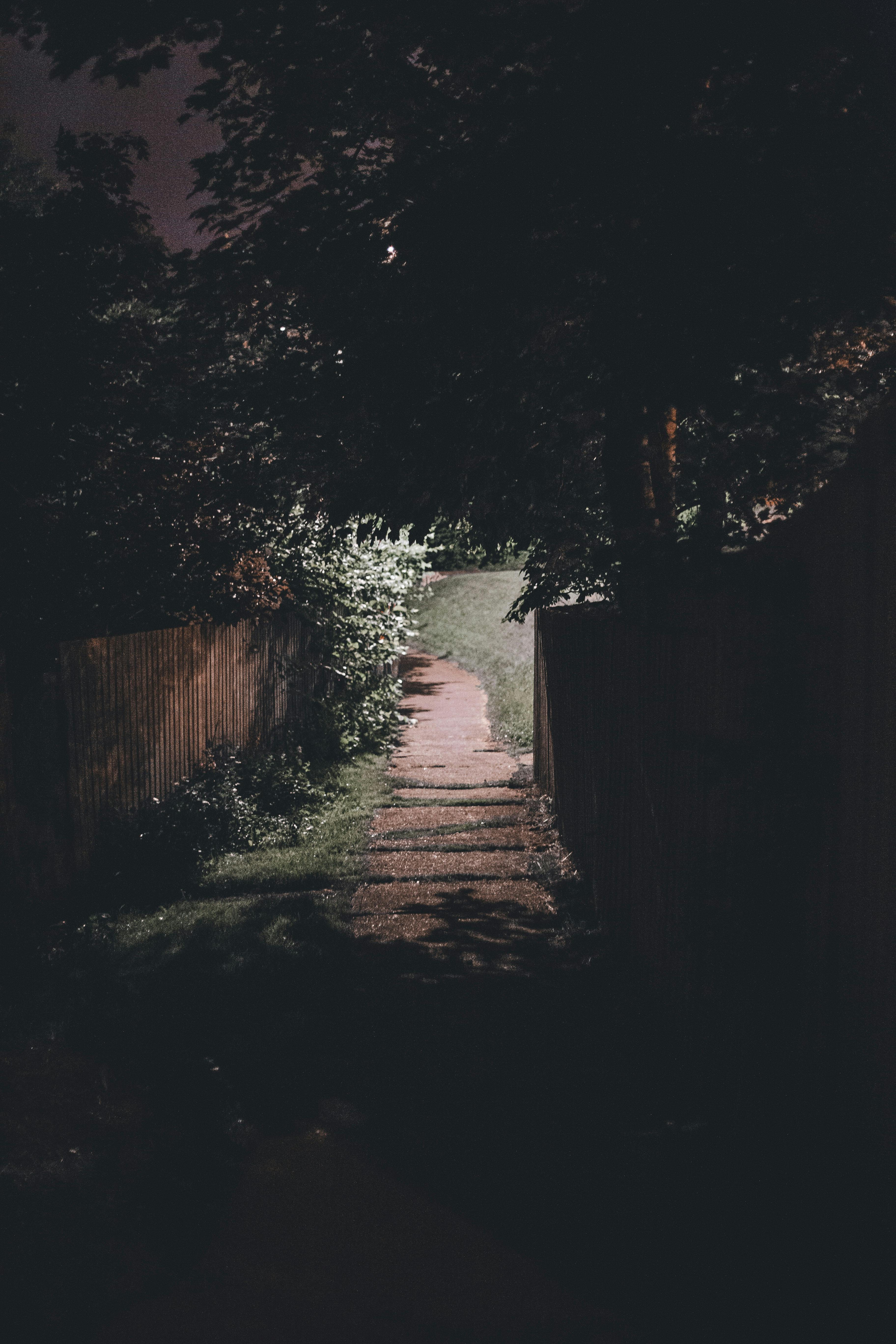 A Footpath at Night · Free Stock Photo