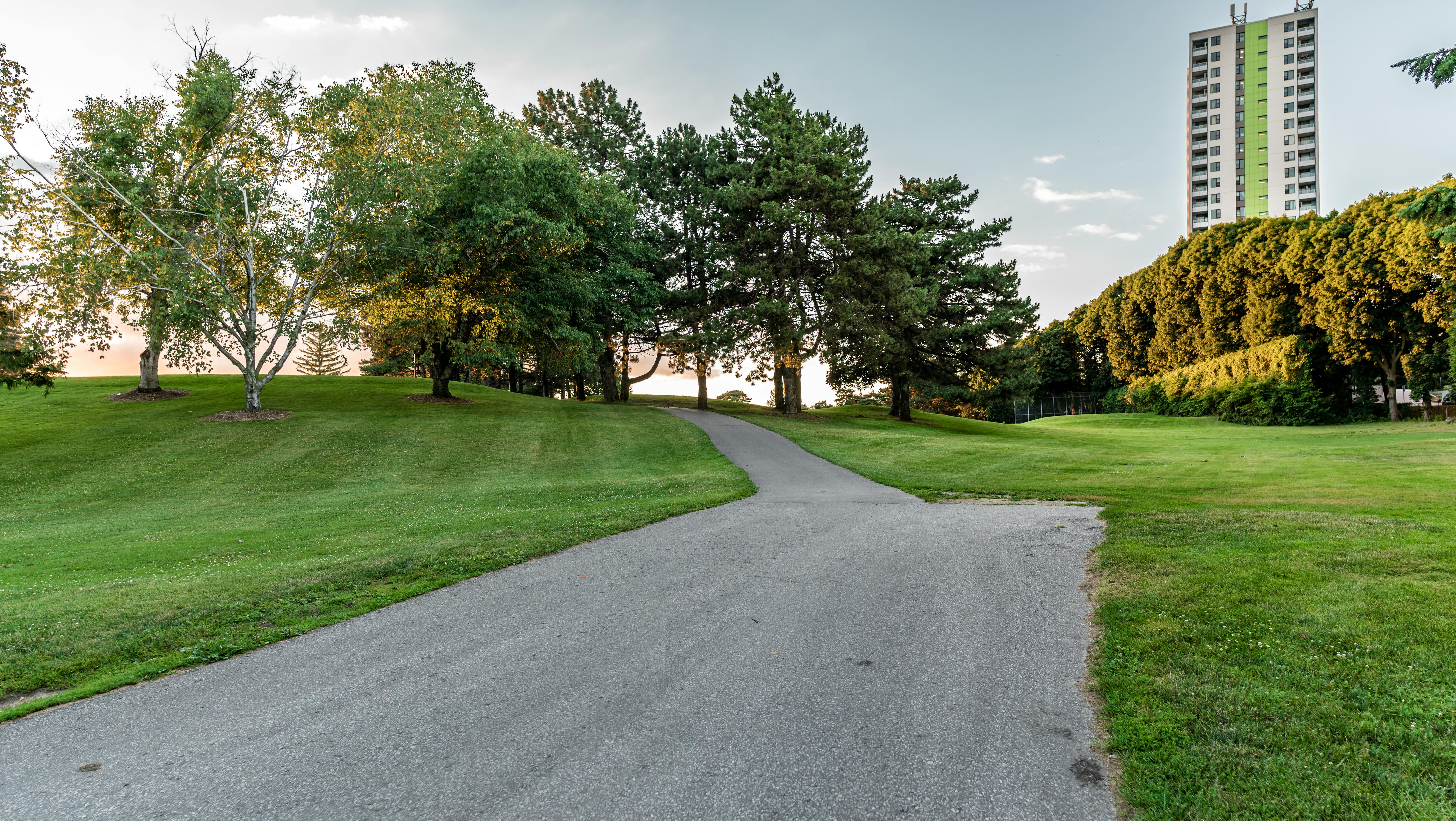 A Pathway at a Park · Free Stock Photo