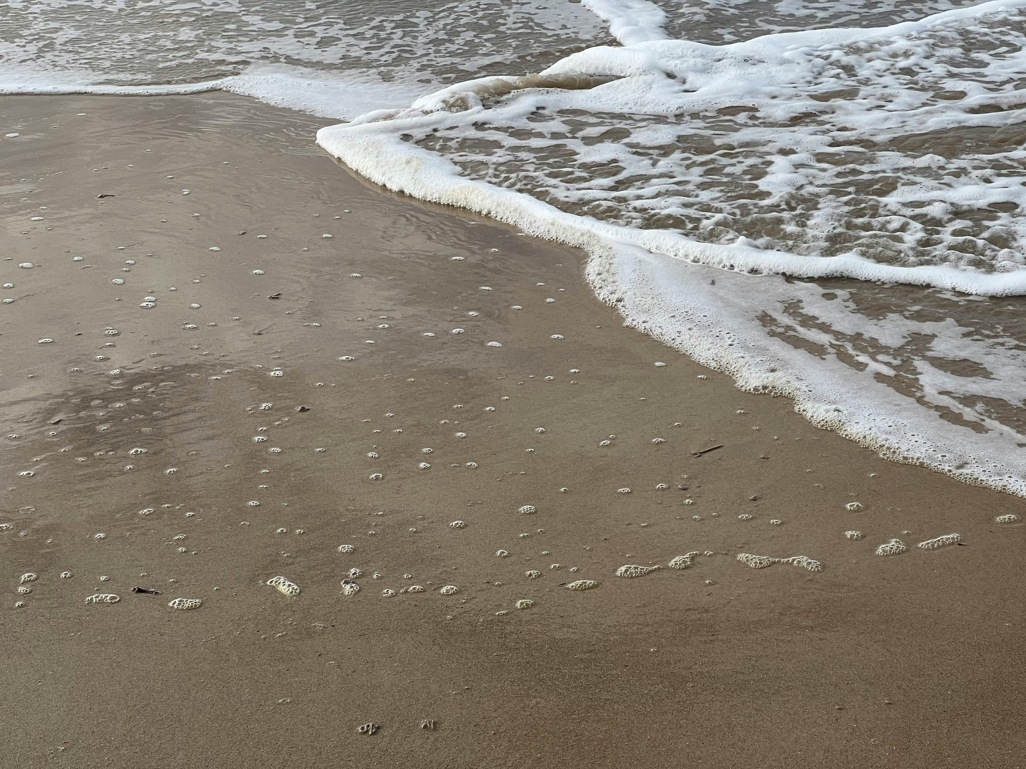 Beach Sand 8 Photos & Videos Collected by Andrew Baker