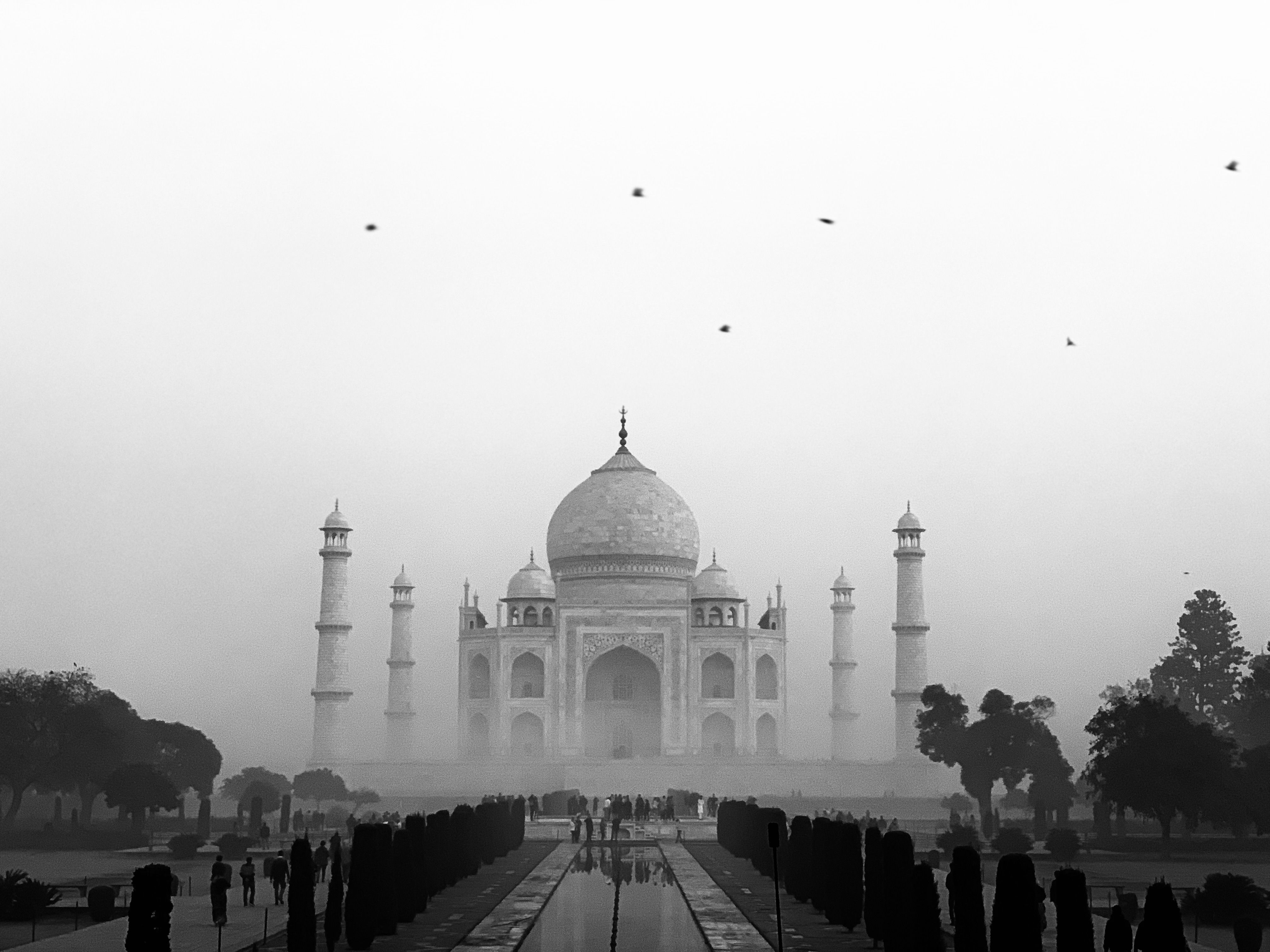 Fog over Taj Mahal in Black and White · Free Stock Photo