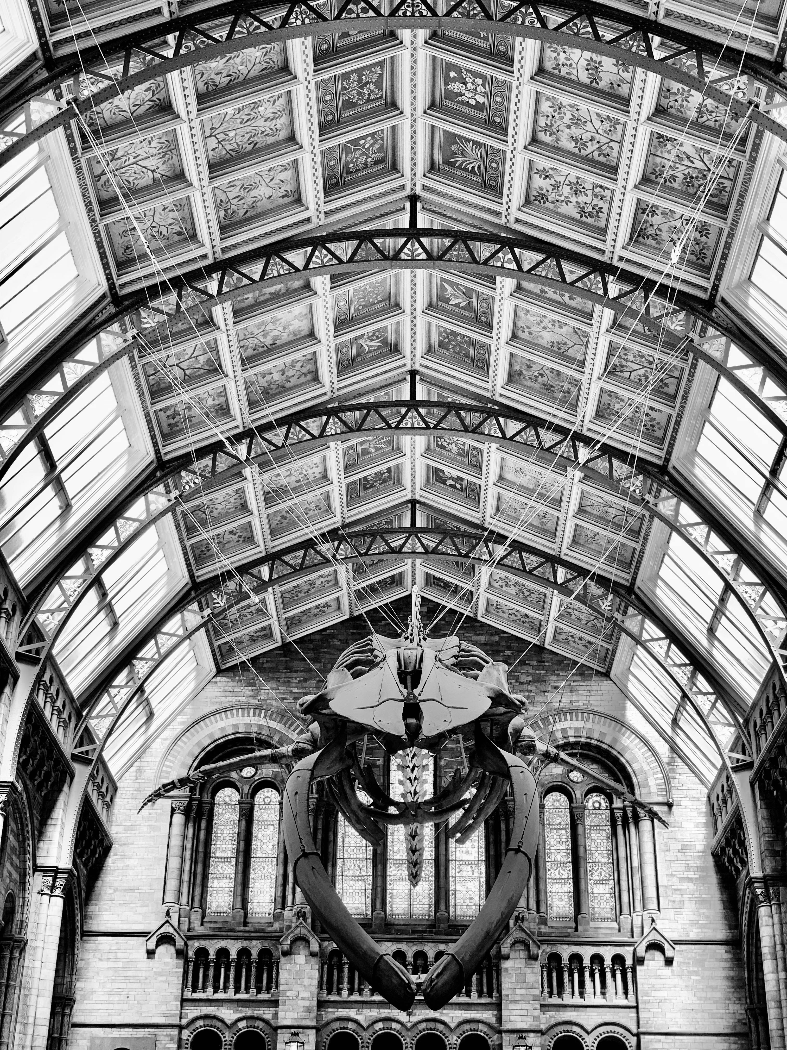 2.000+ melhores imagens de Exhibit Behavior · Download 100% grátis ...