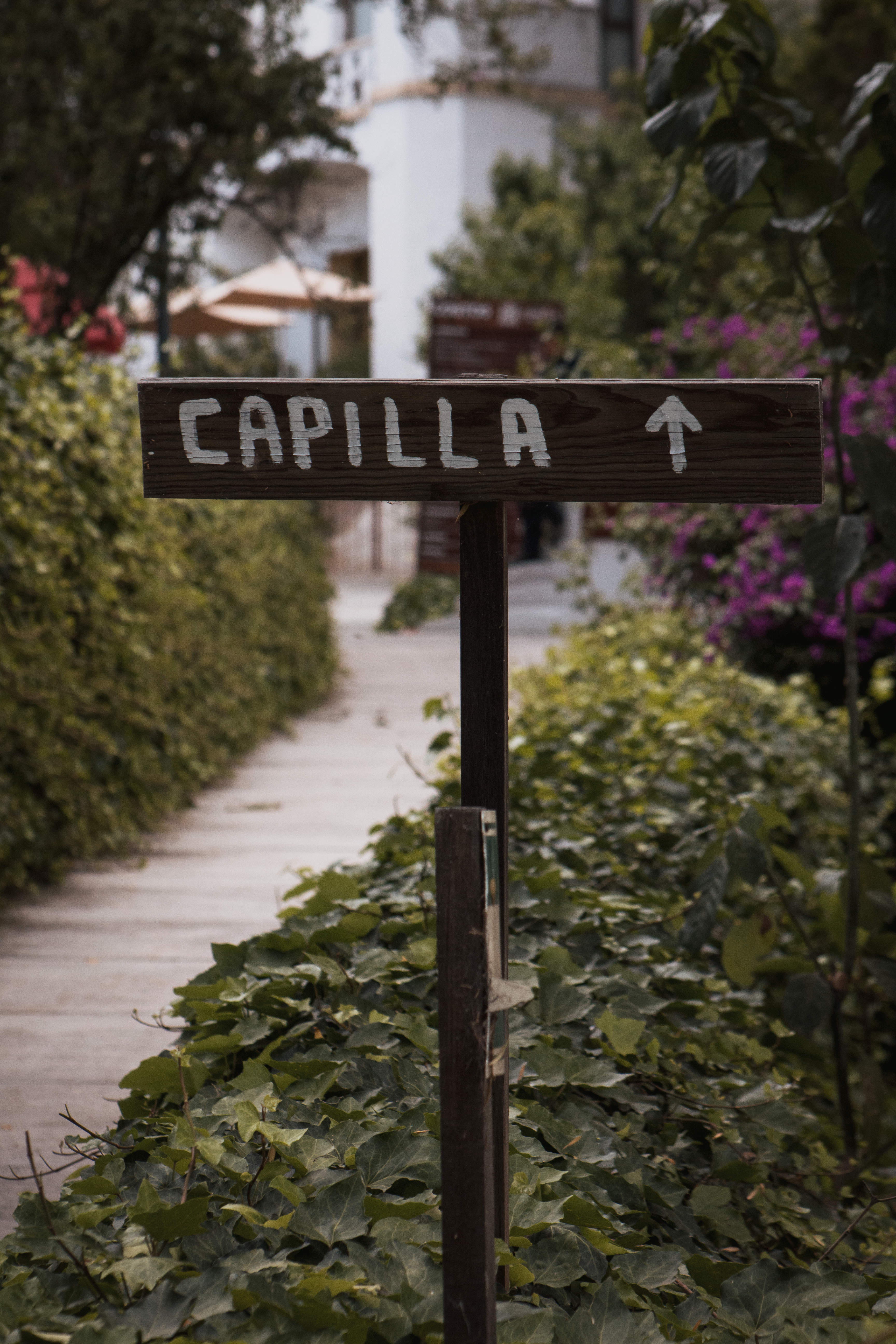 A Wooden Signage near the Pathway · Free Stock Photo