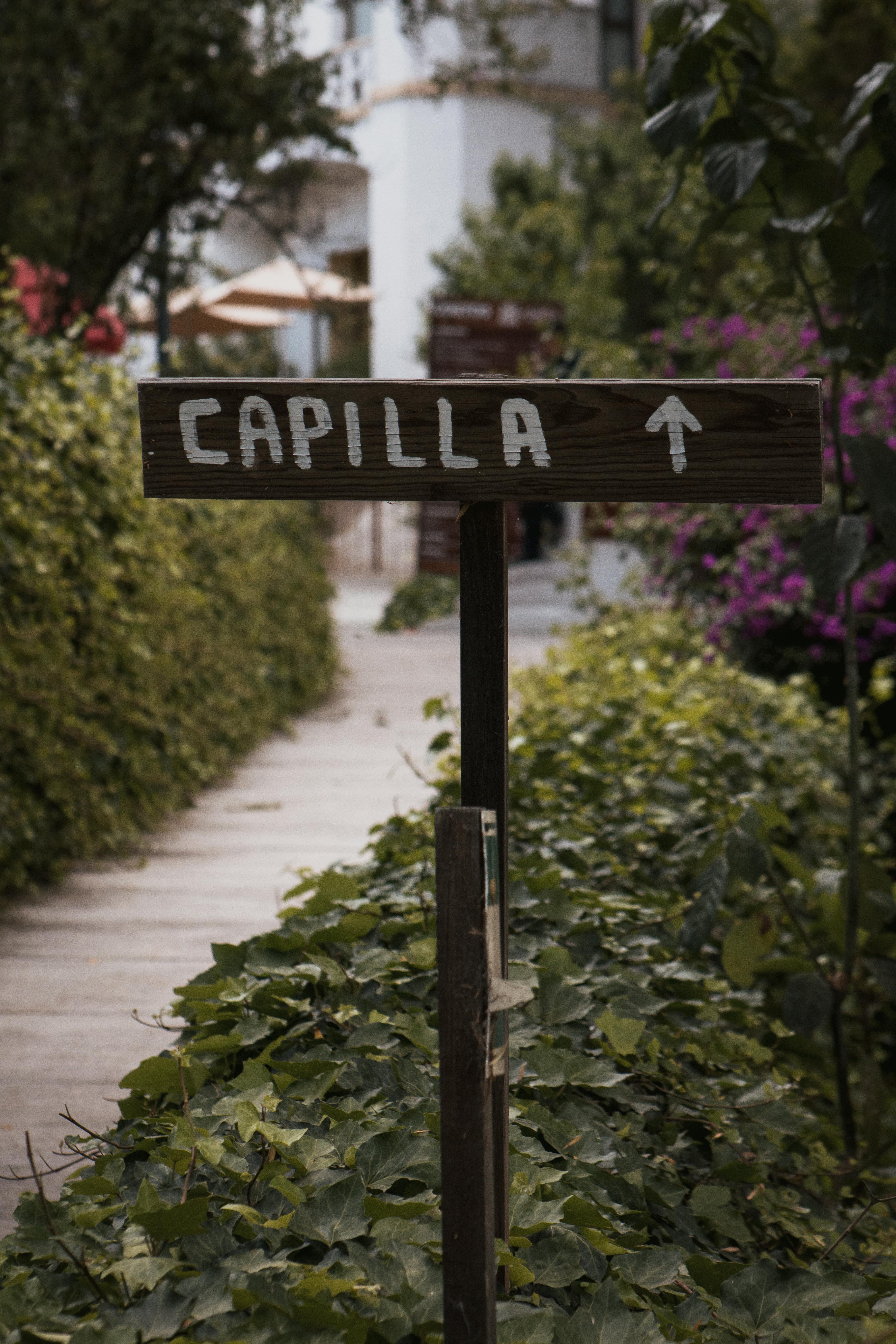 Capilla Palatina Photos, Download The BEST Free Capilla Palatina Stock ...