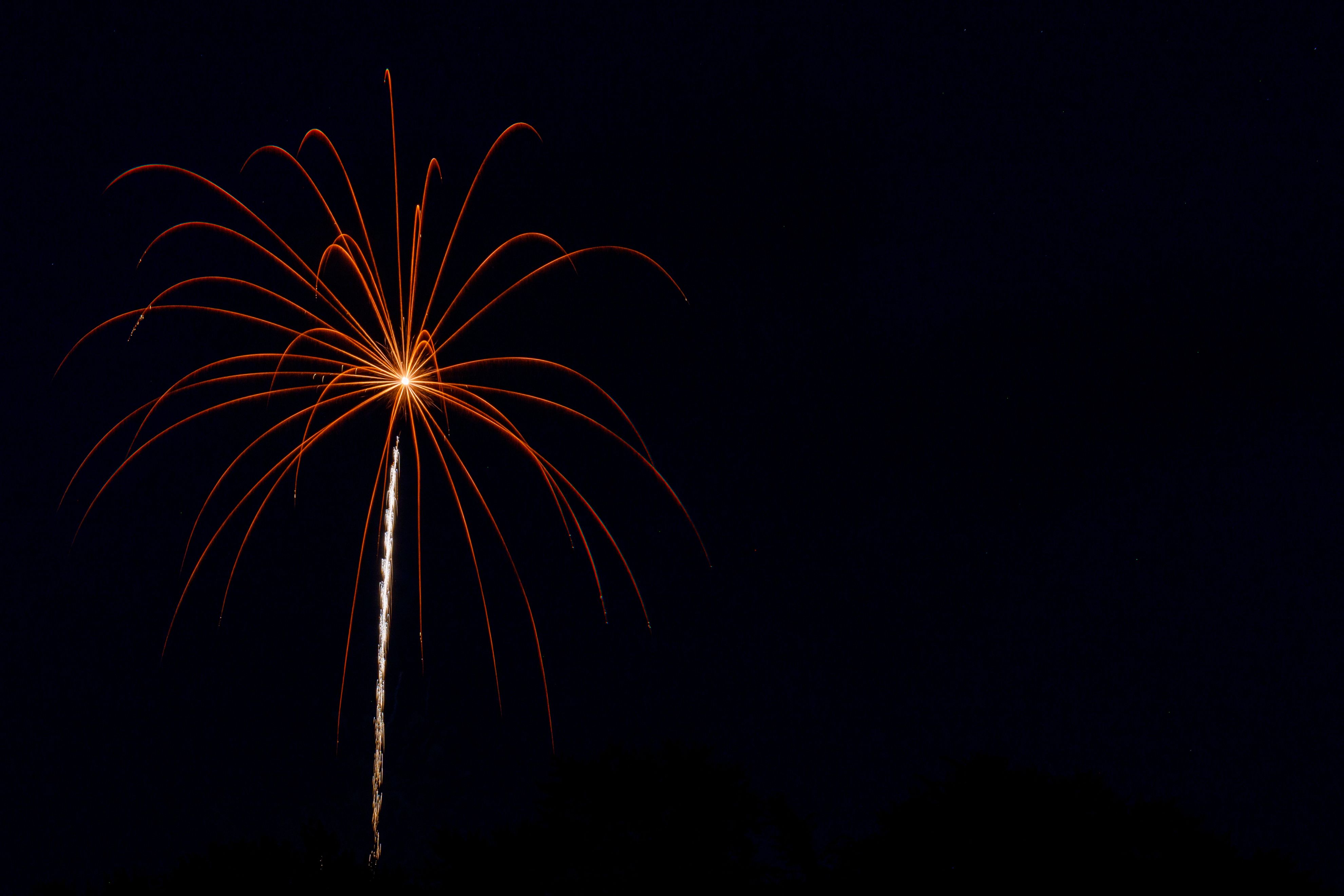 Fireworks on a Night Sky · Free Stock Photo