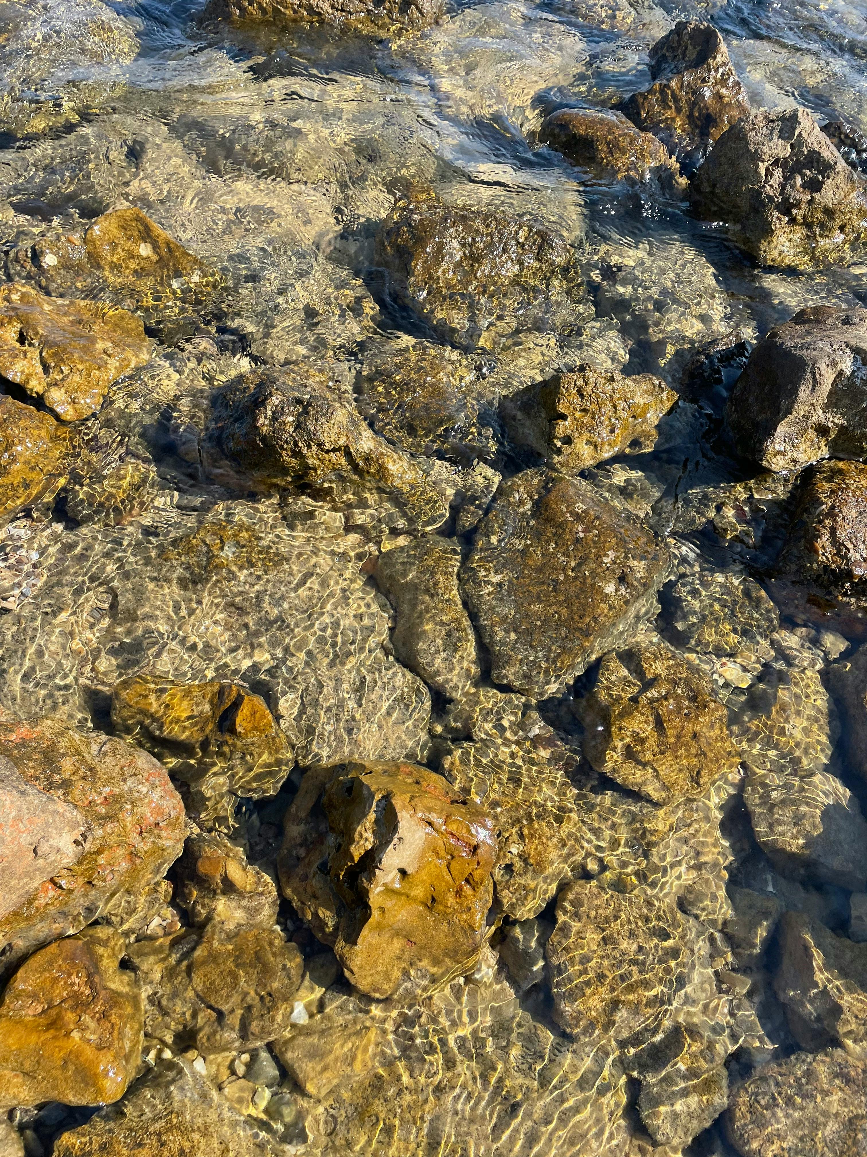 A Man Walking on Bed of Rocks · Free Stock Photo