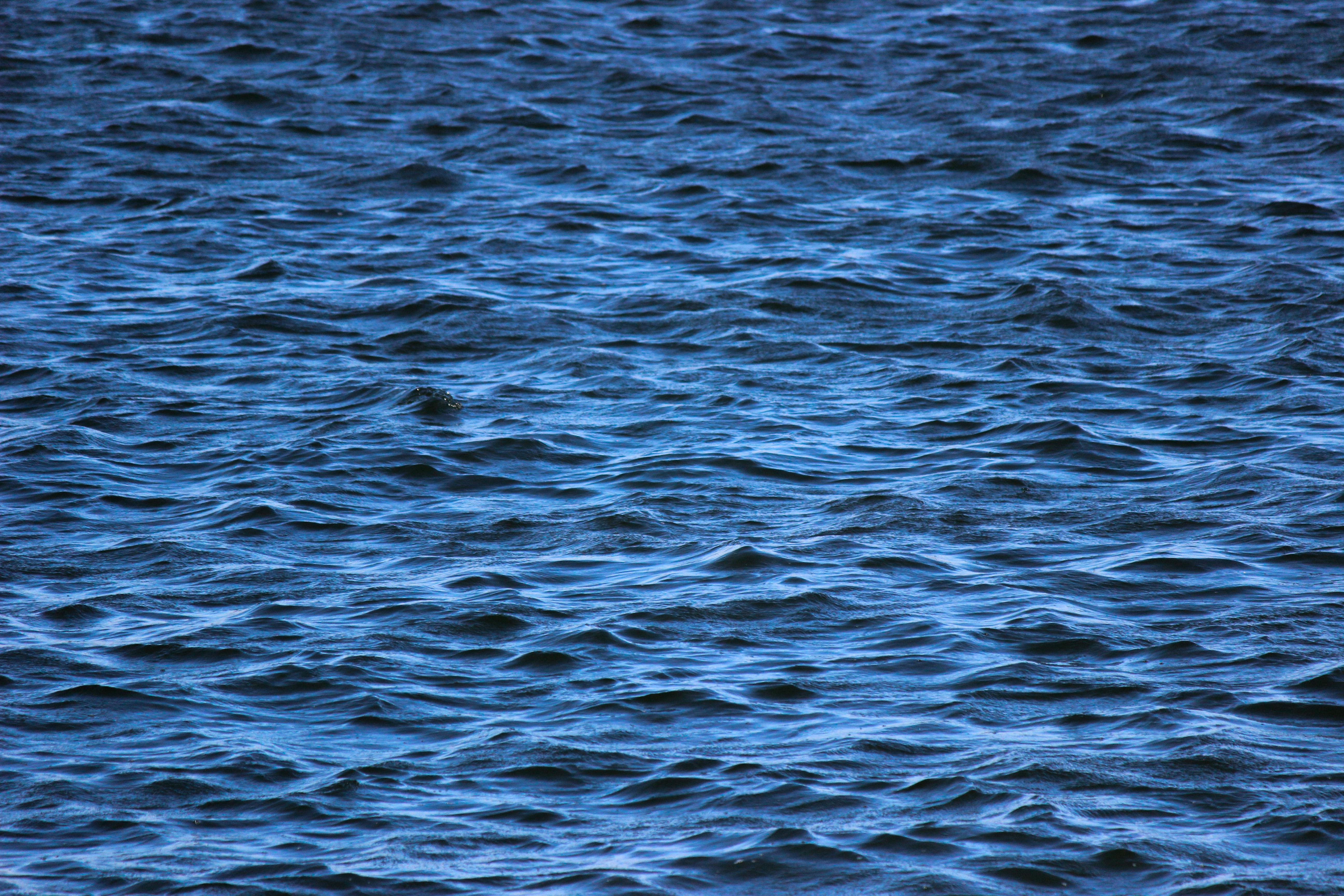 Body Of Water · Free Stock Photo