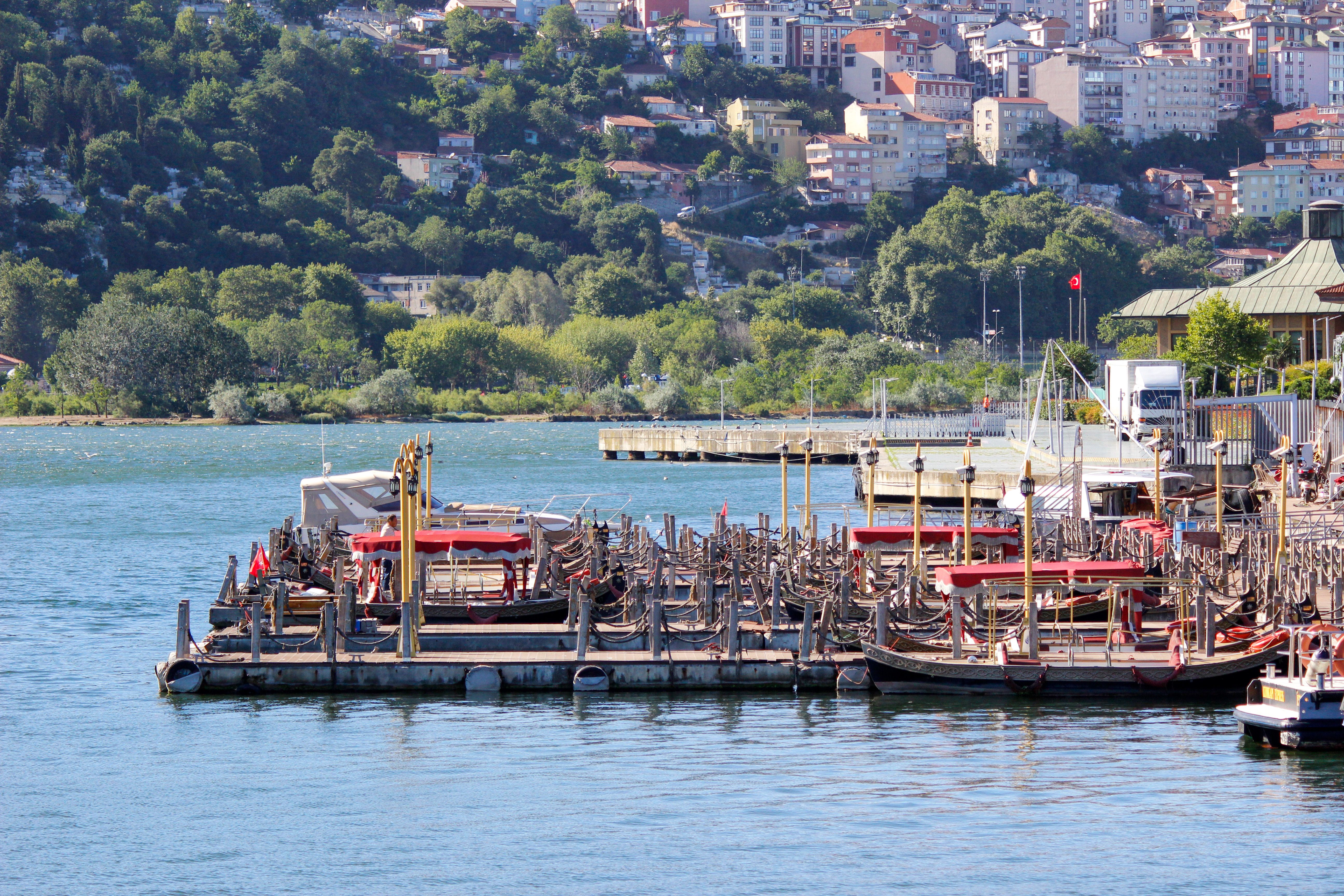Passenger Boats in a Harbor in a Coastal Town · Free Stock Photo
