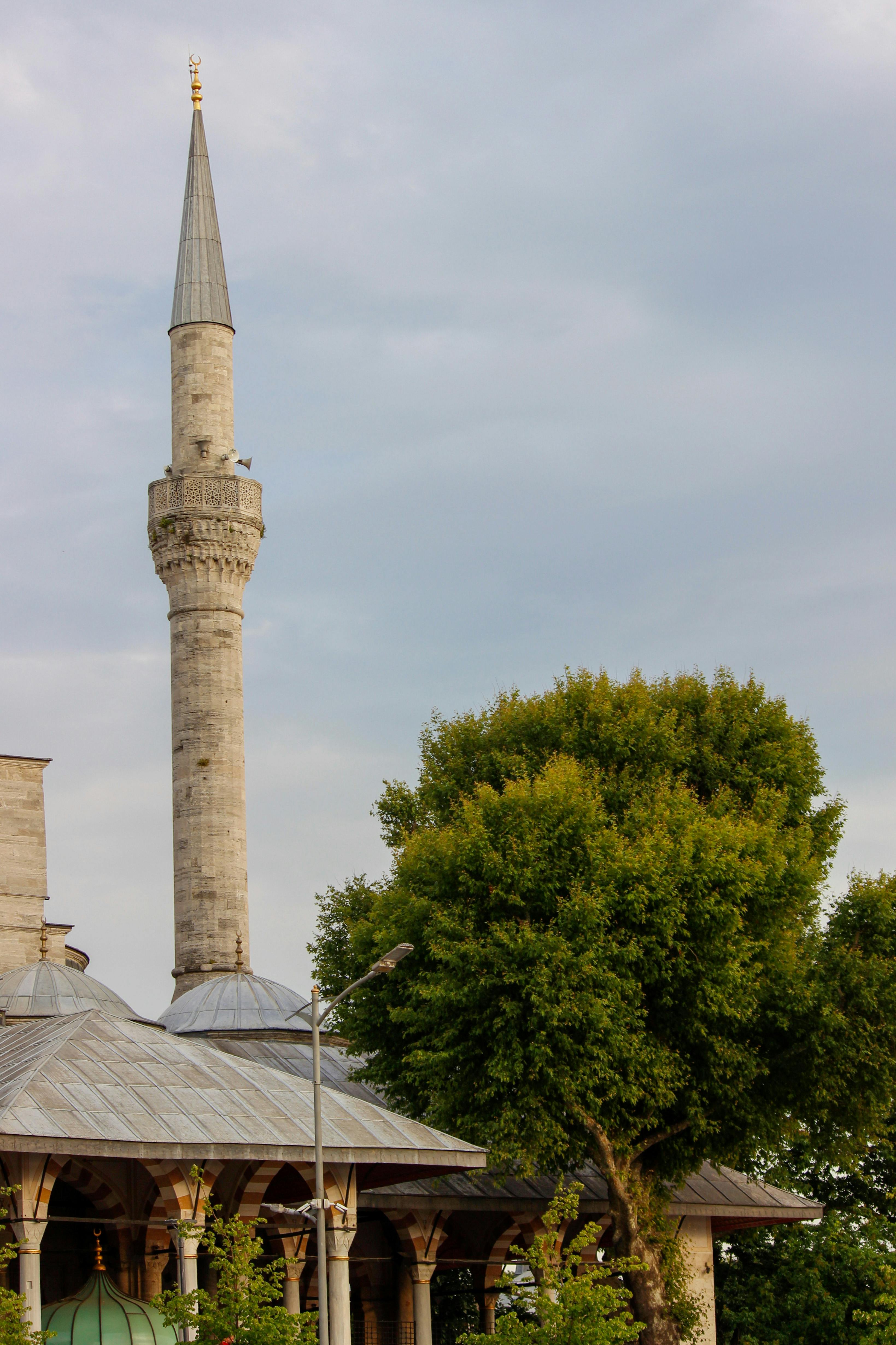 157+ Best Free Syria Stock Photos & Images · 100% Royalty-Free HD Downloads