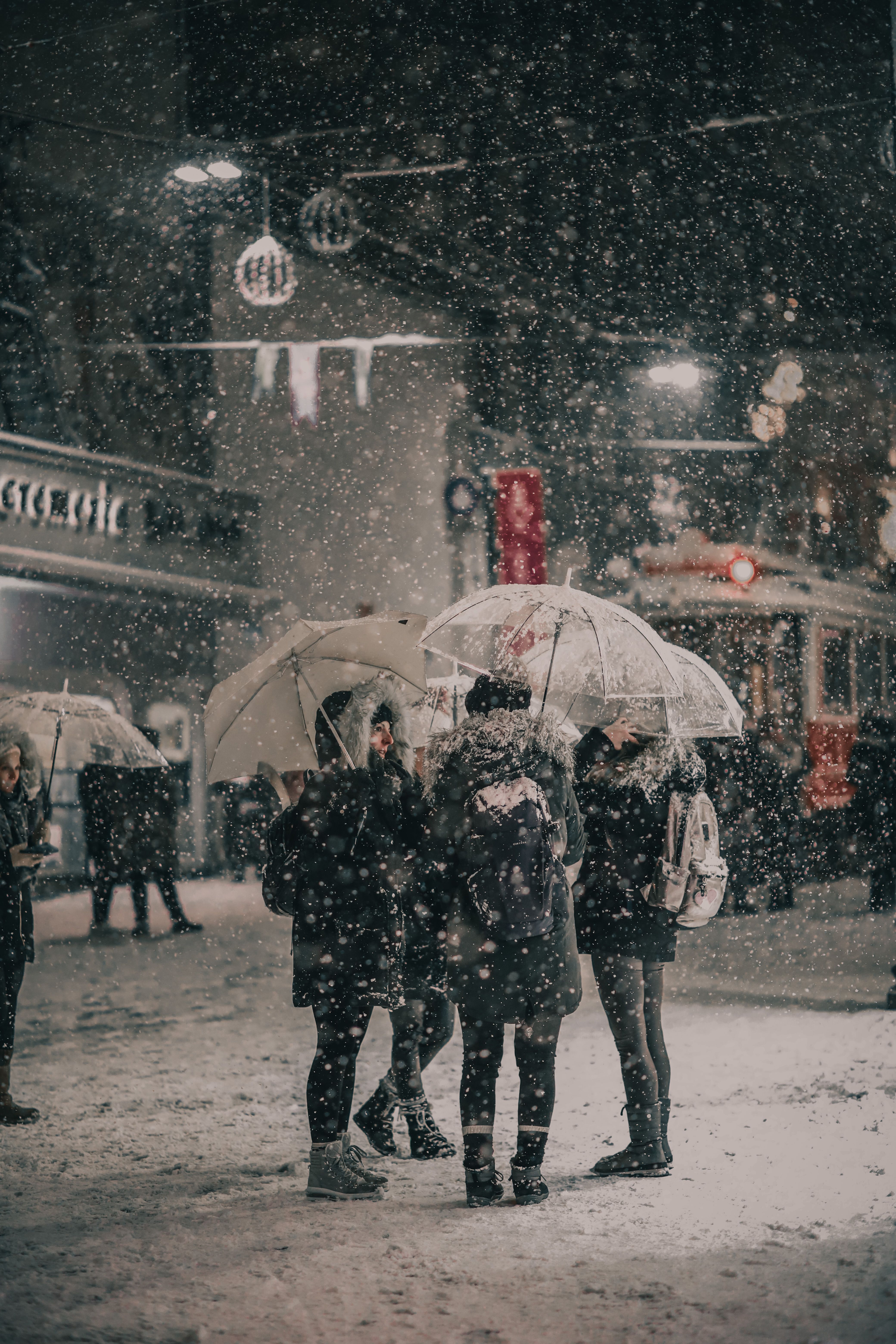 Group of People Under Umbrellas in a City at Heavy Snowfall · Free ...