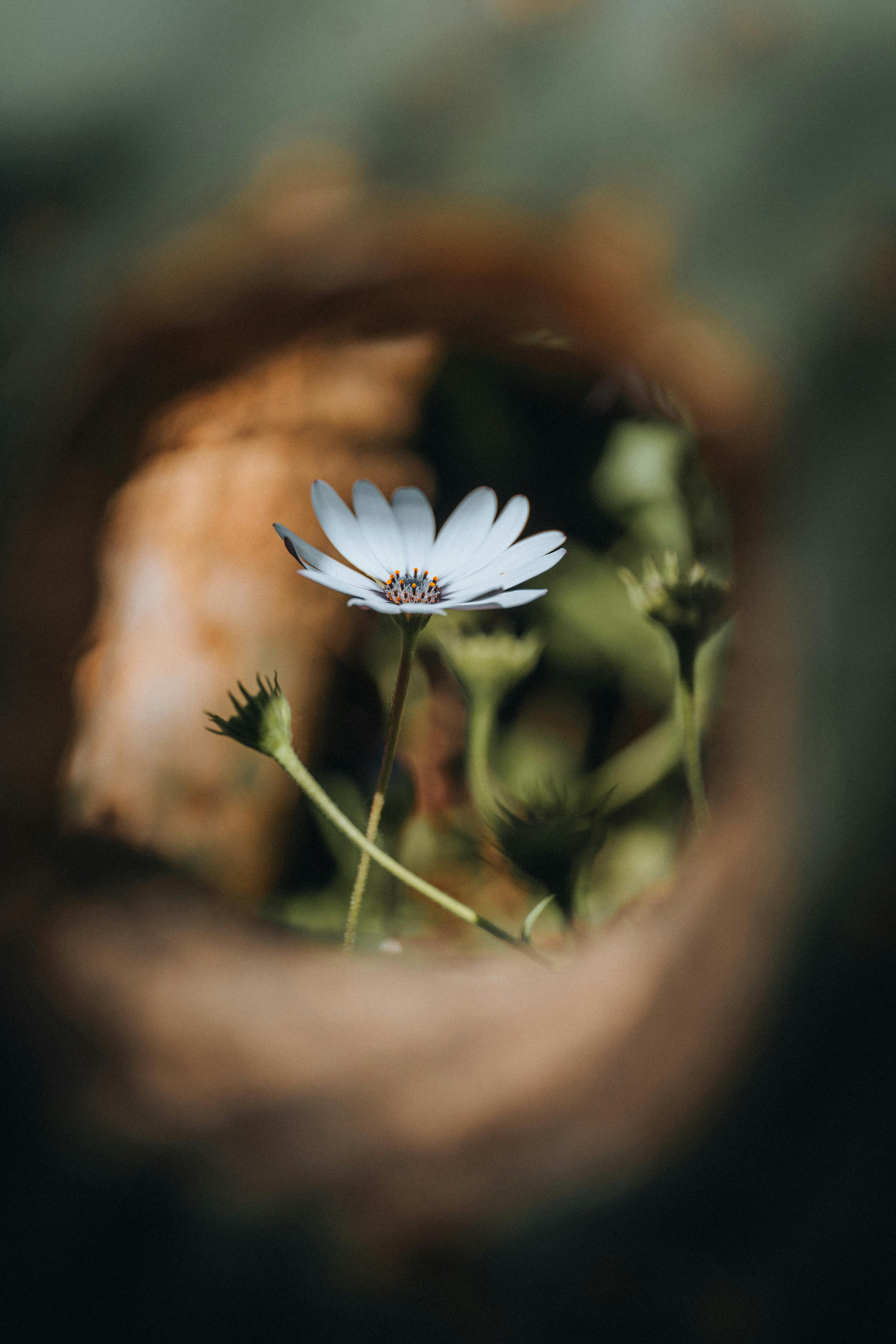 Andreas - Photography