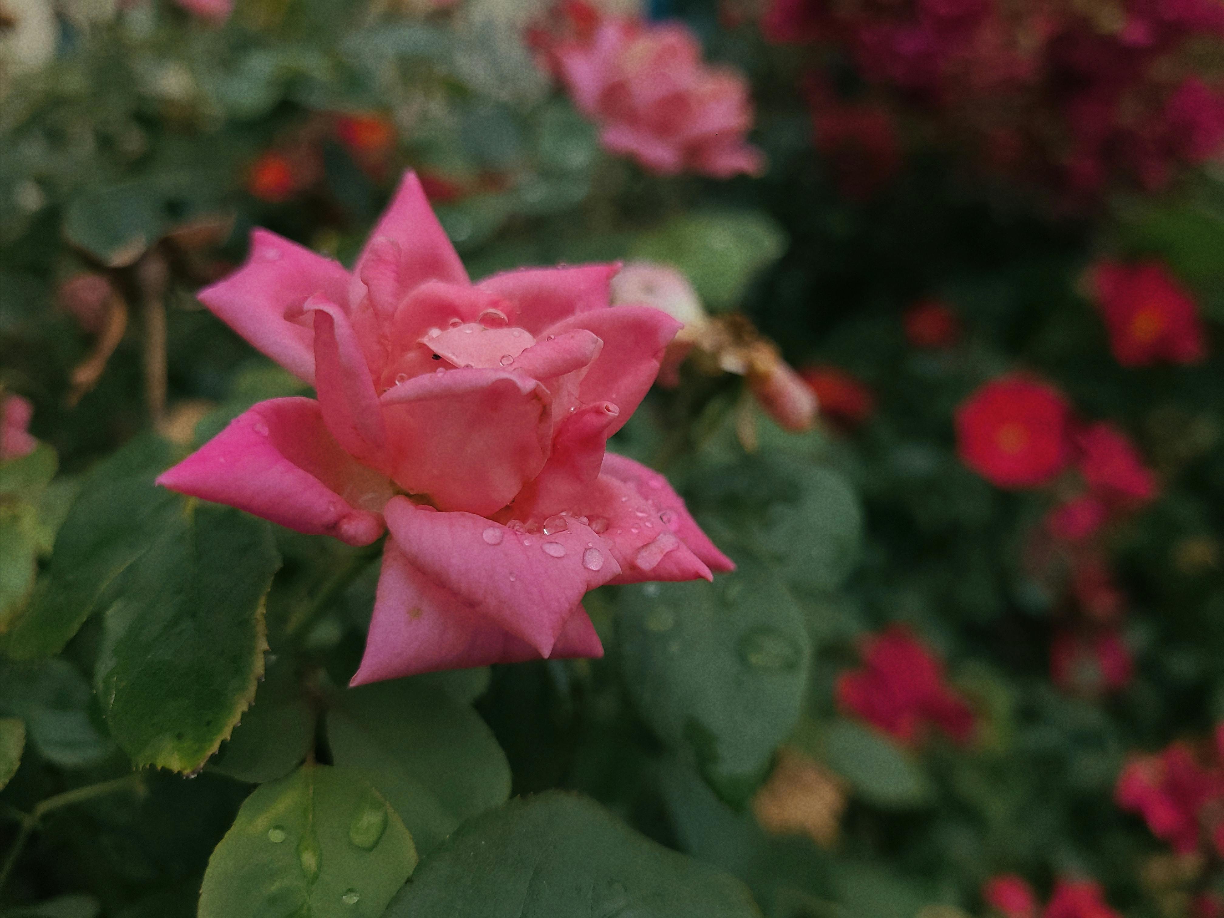 Jeffrey Riley - Photography