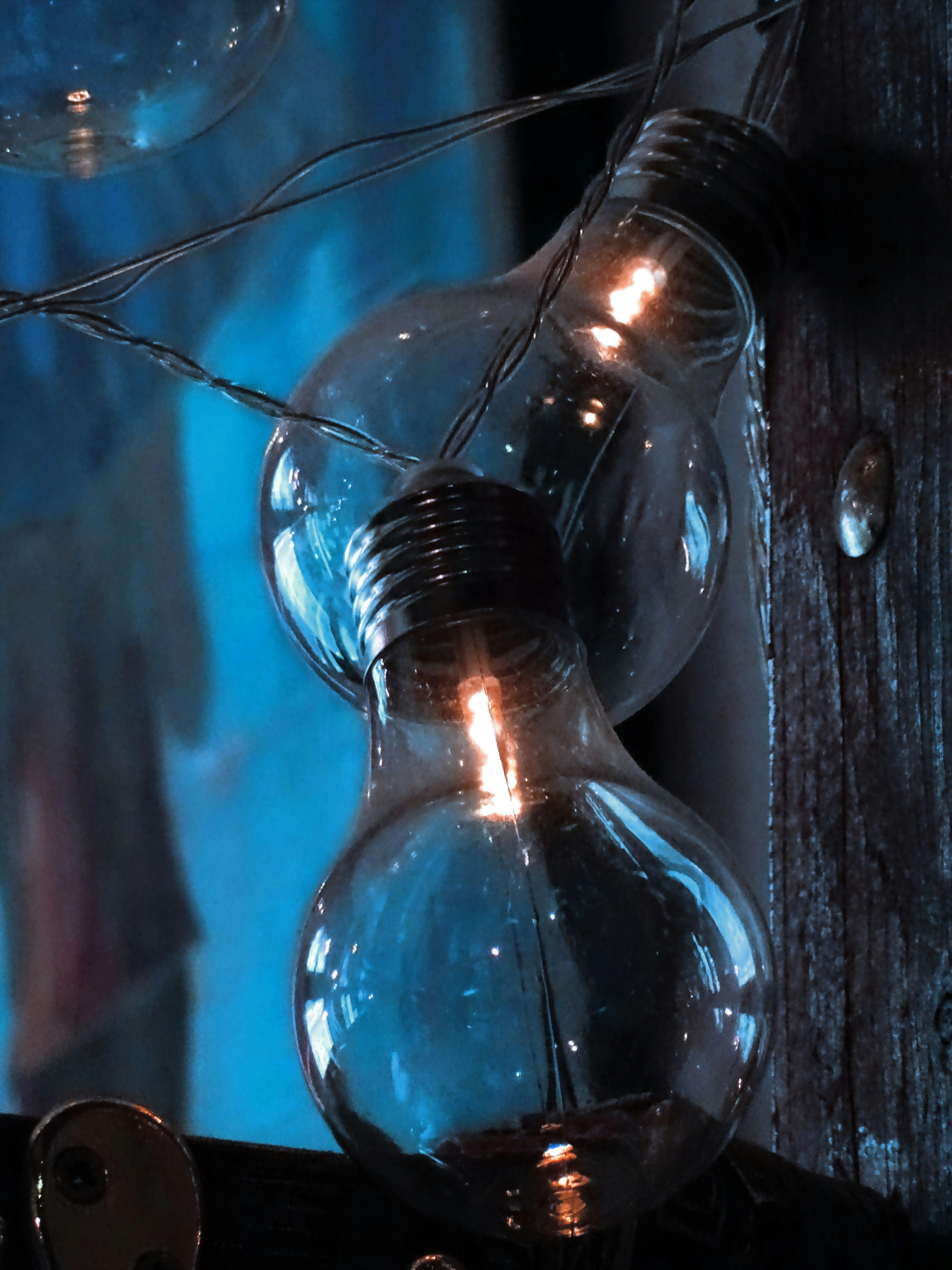 Two Light Bulbs · Free Stock Photo