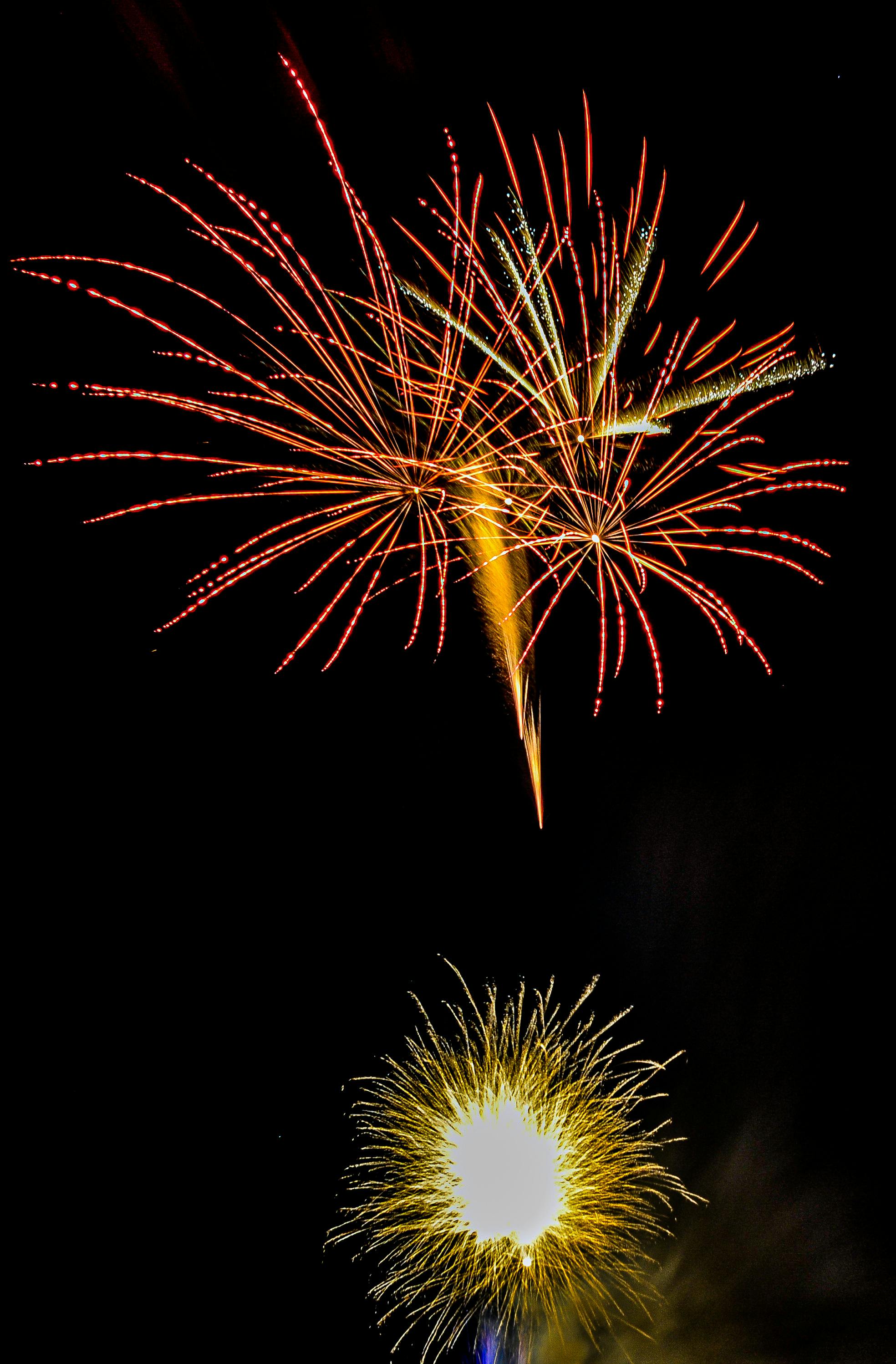 Blue and Red Brocade Fireworks at Night · Free Stock Photo