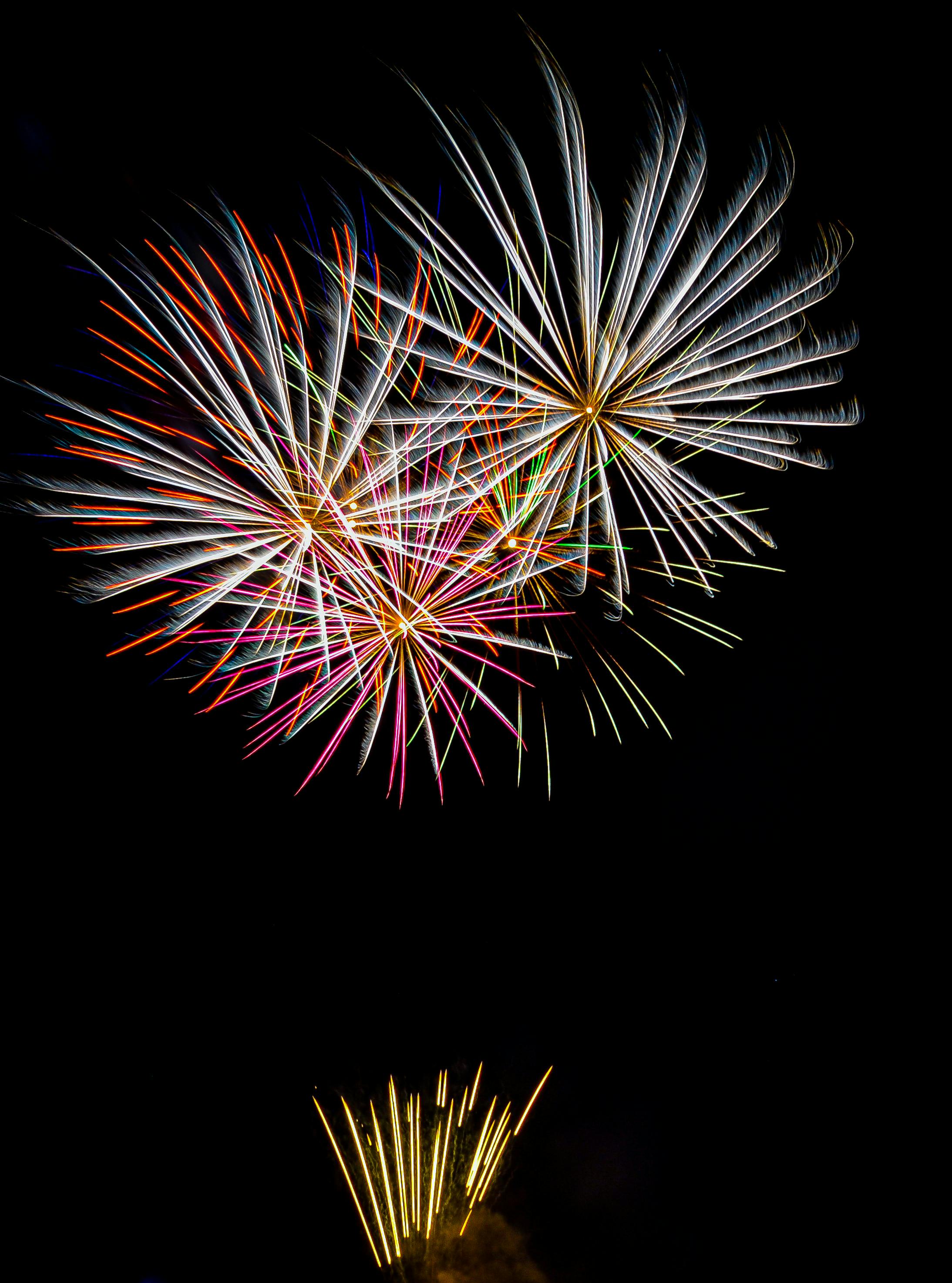Fireworks Display in the Night Sky · Free Stock Photo