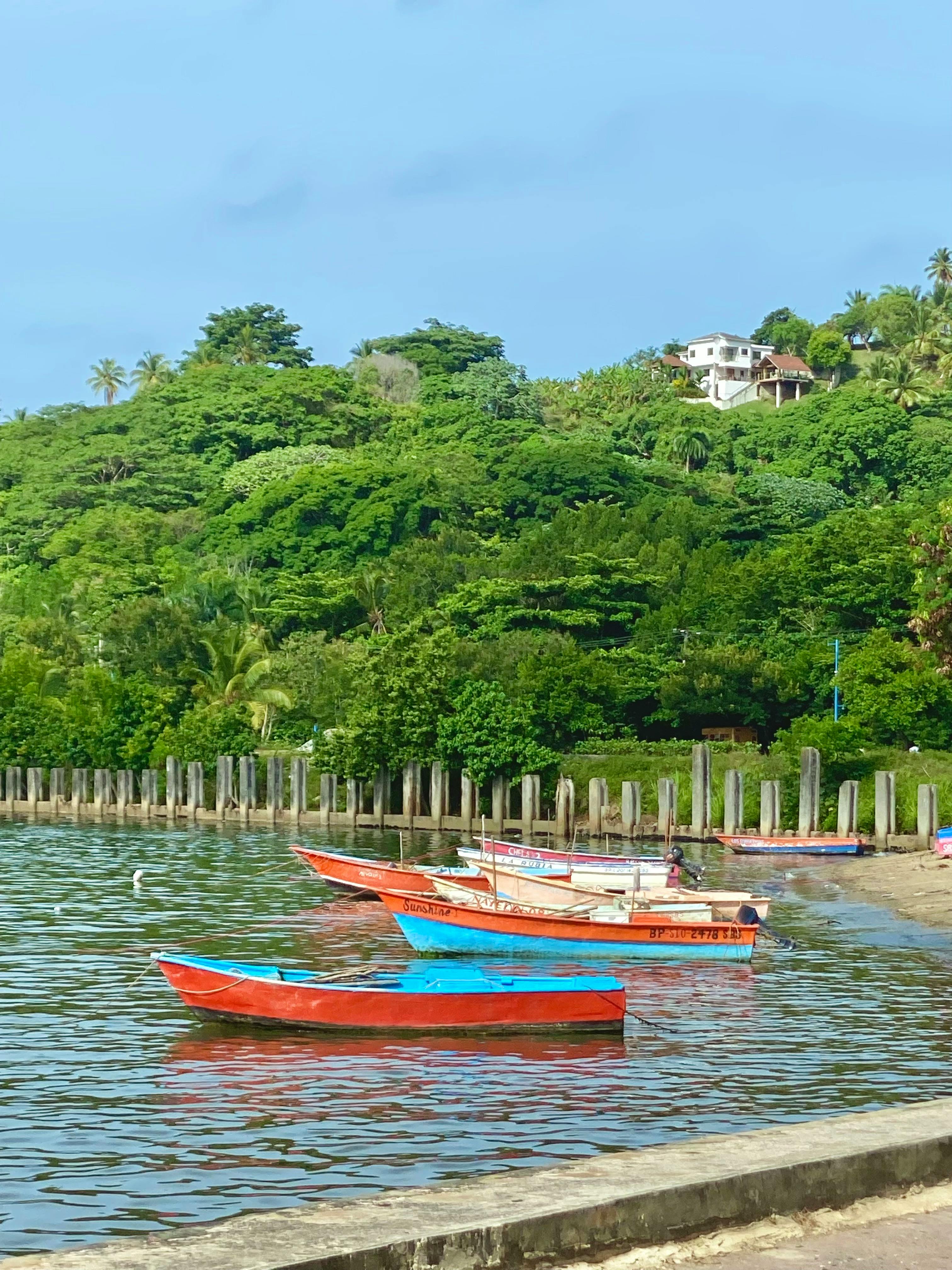 Red and Blue Boats on Body of Water Near Green Trees · Free Stock Photo