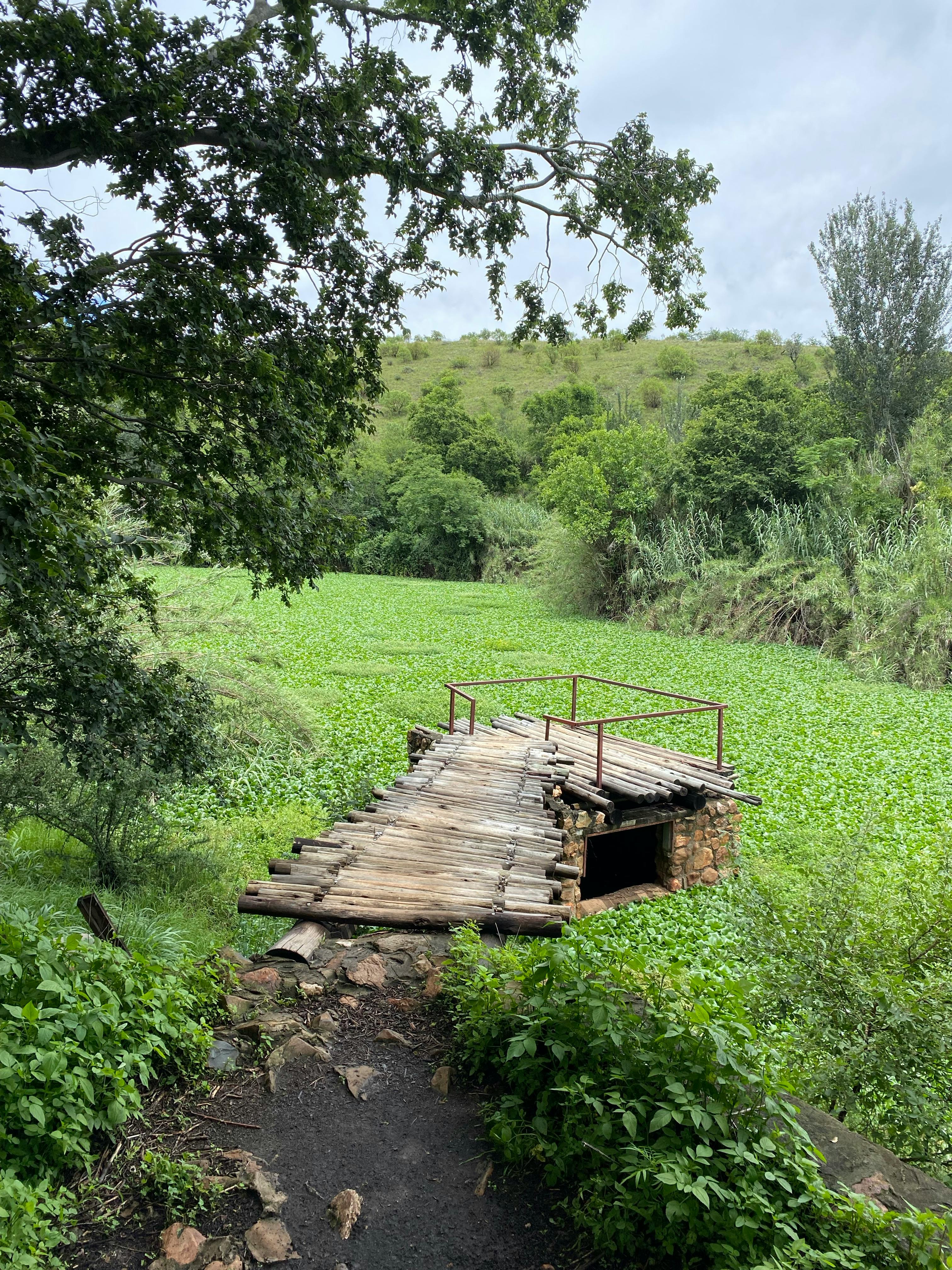 Brown Wooden Log Bridge in a Field · Free Stock Photo
