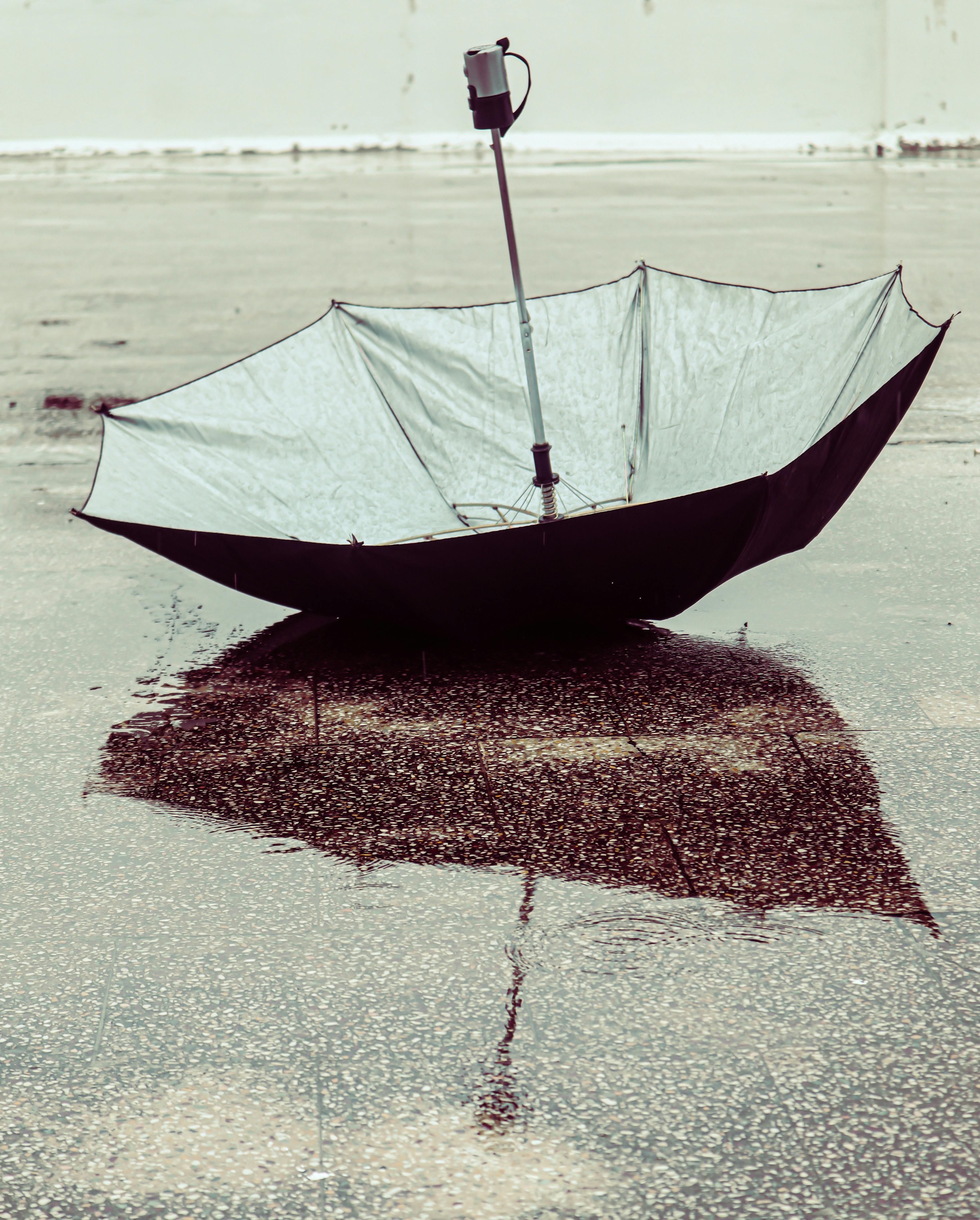 29+ Best Free Rainfall Stock Photos & Images · 100% Royalty-Free HD ...