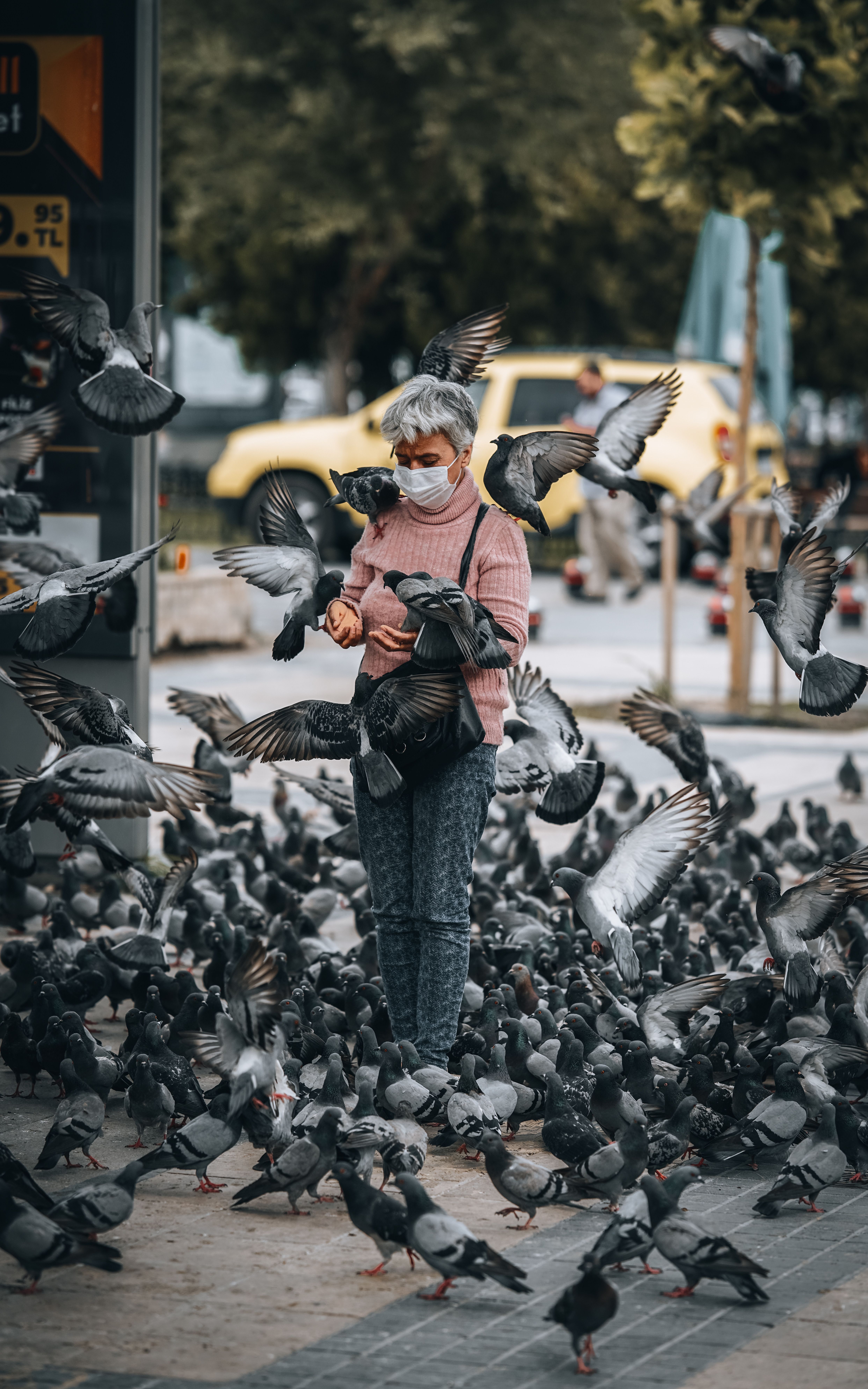 Birds Surrounding a Woman · Free Stock Photo