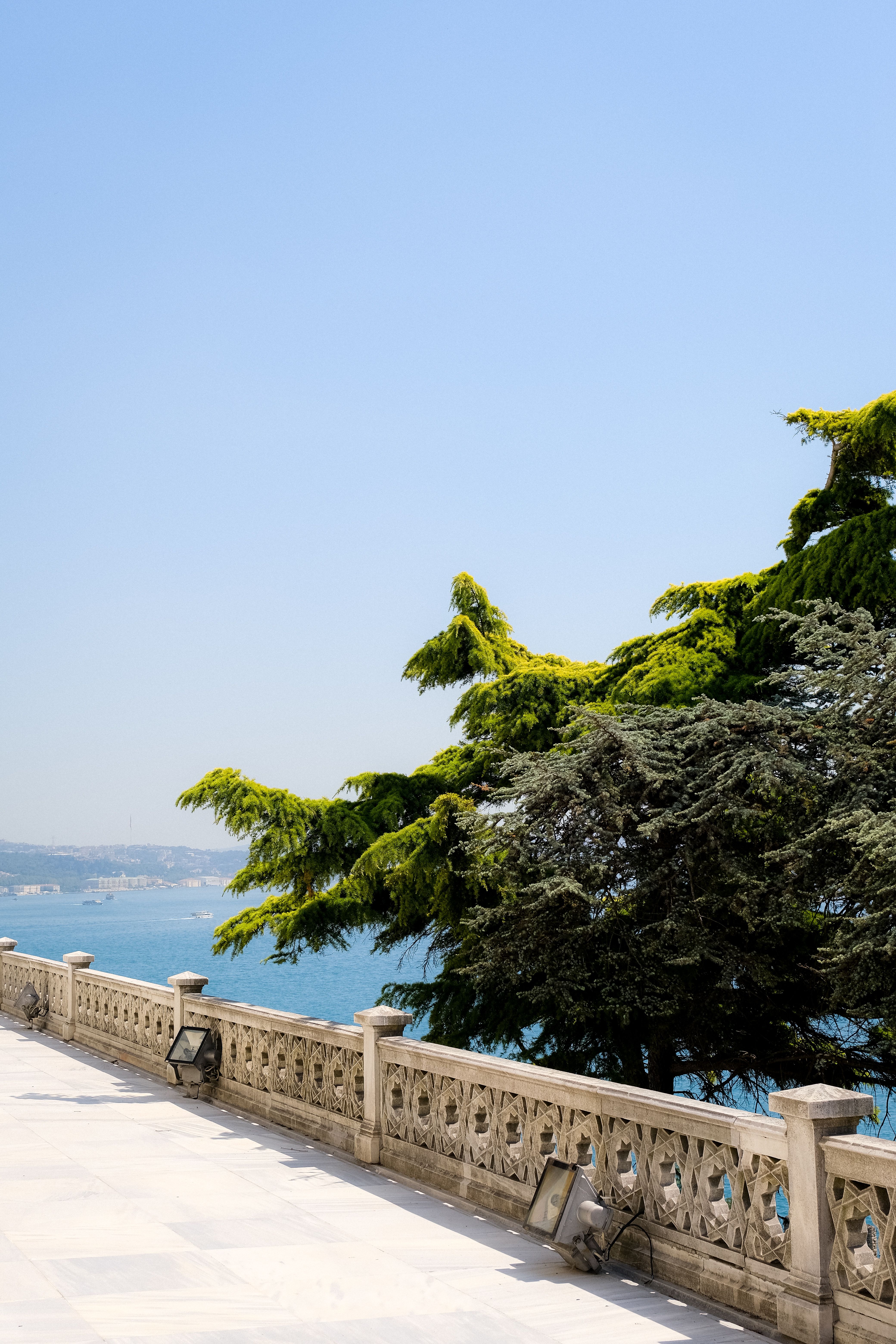 Photo of a Terrace, a Tree and a Sea · Free Stock Photo