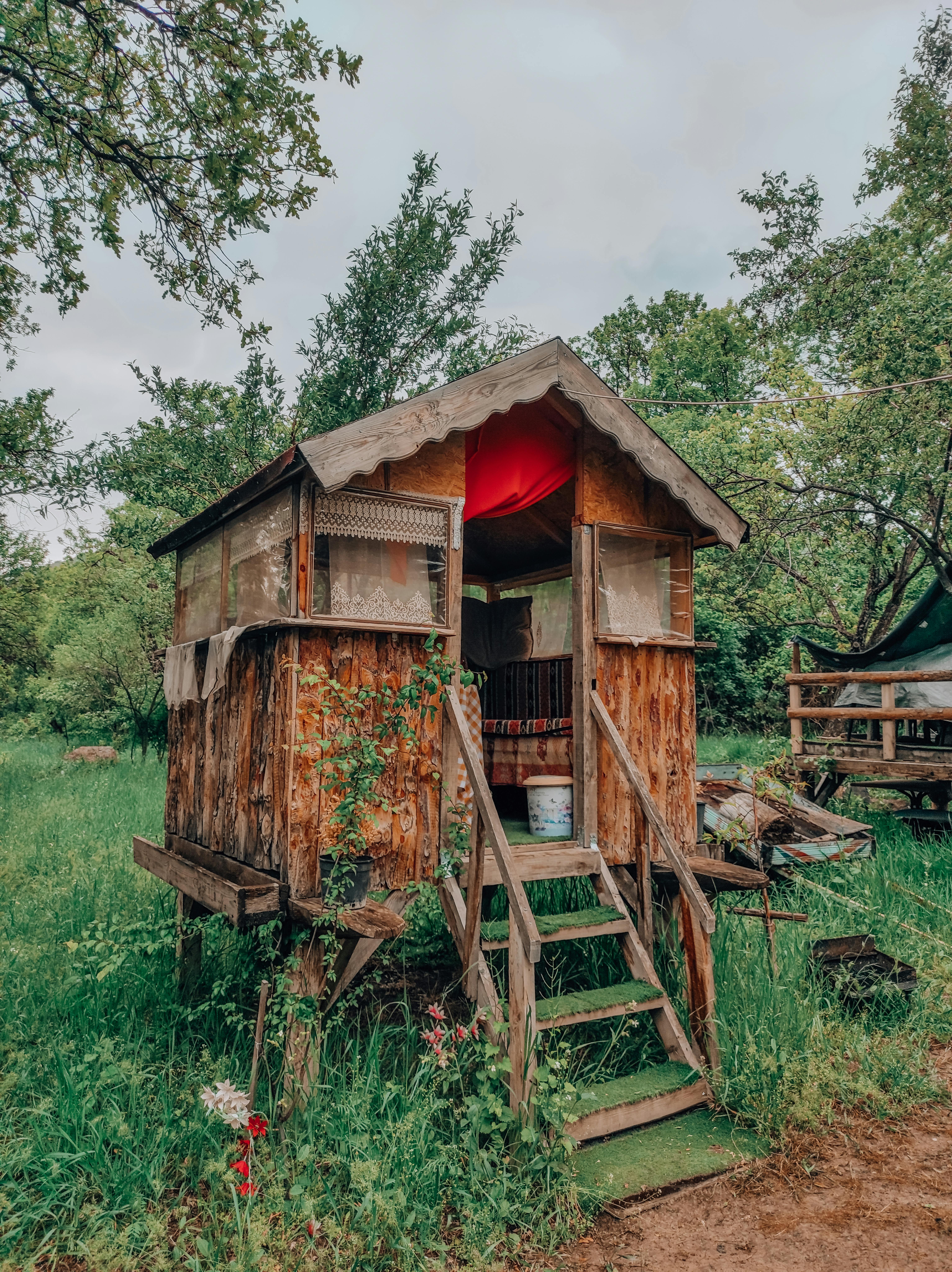 A Small Wooden Hut with Ladder on Green Grass · Free Stock Photo