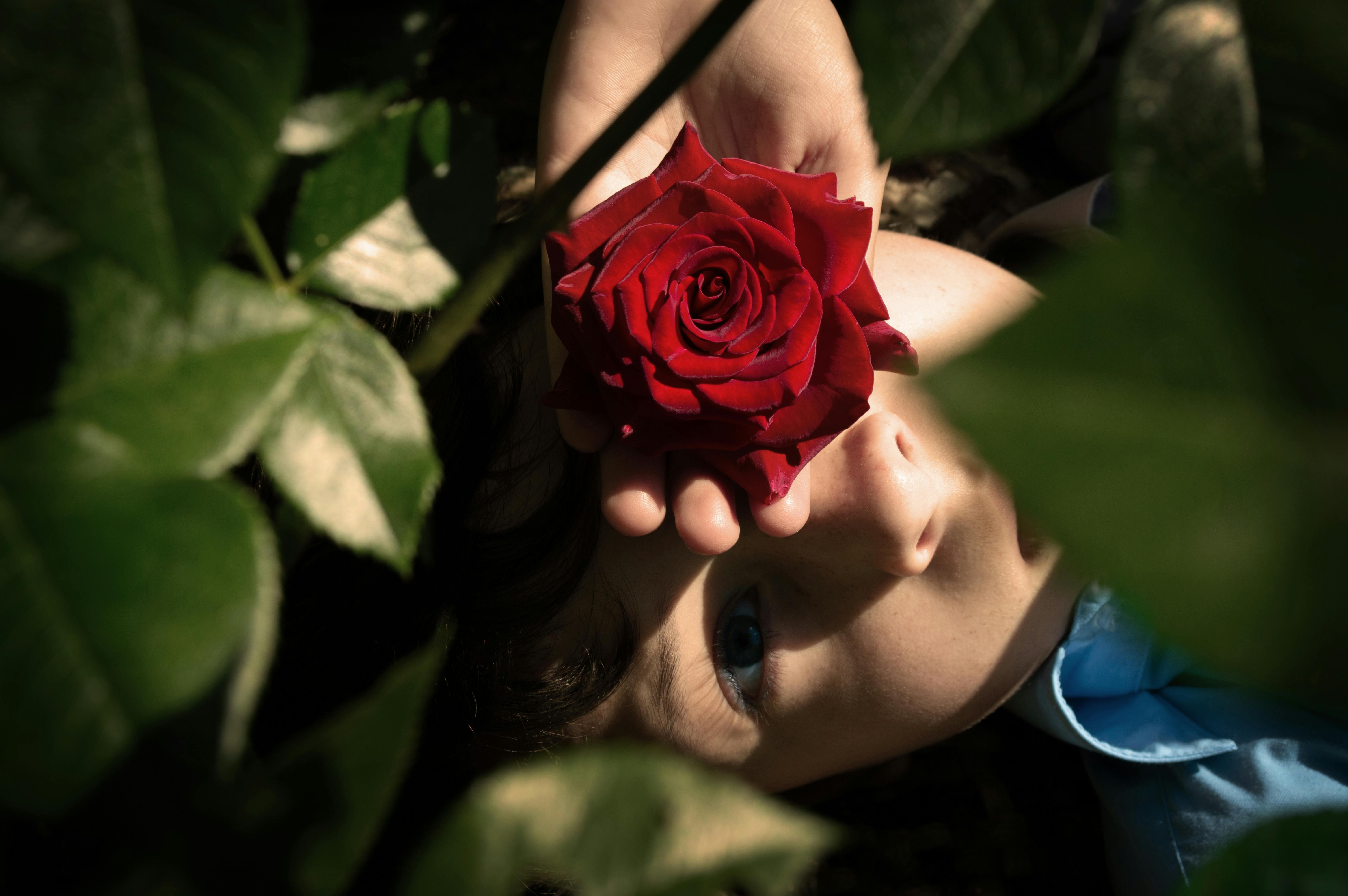 A Woman Lying on the Floor Holding Withered Roses · Free Stock Photo