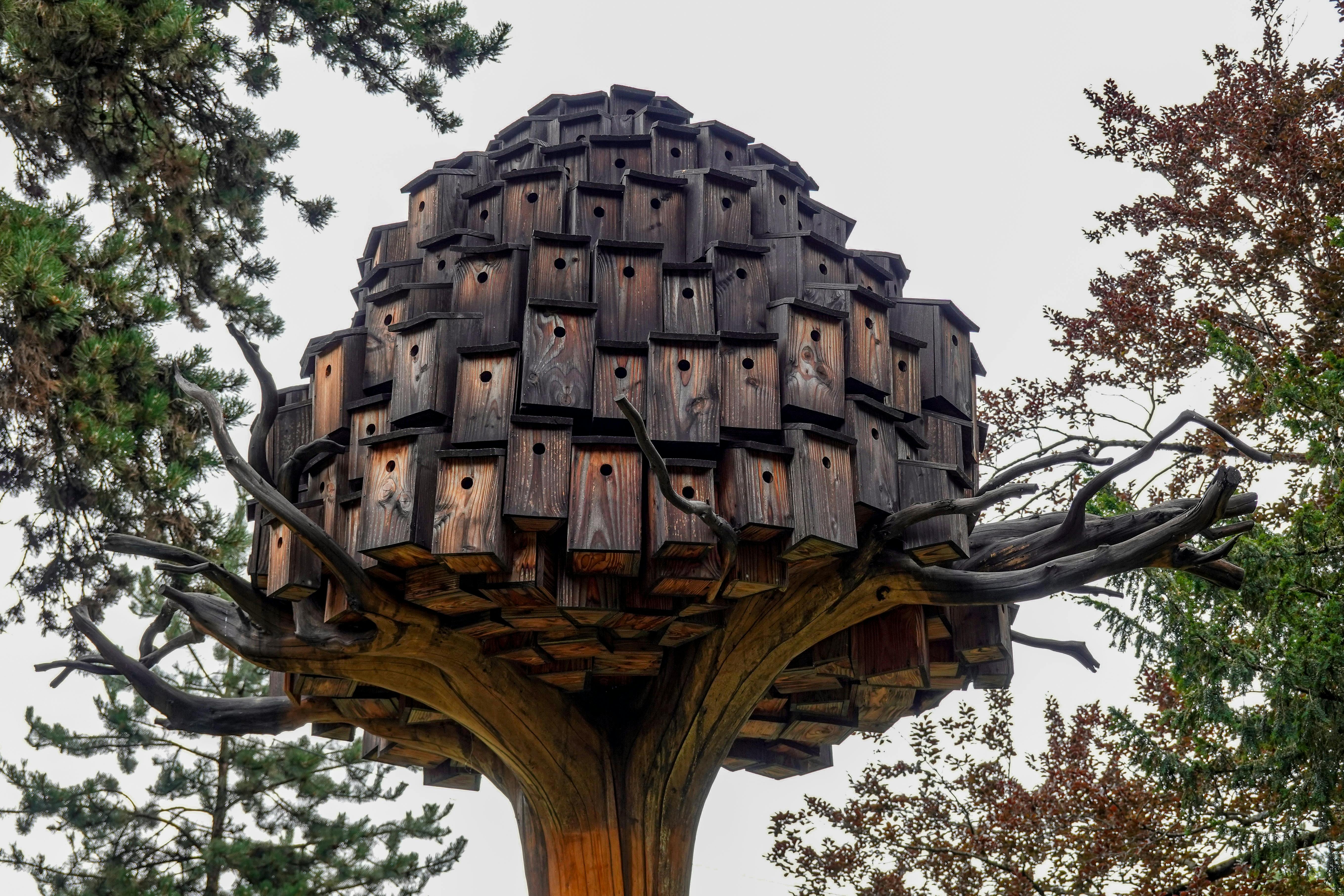 Multiple Wooden Birdhouses · Free Stock Photo