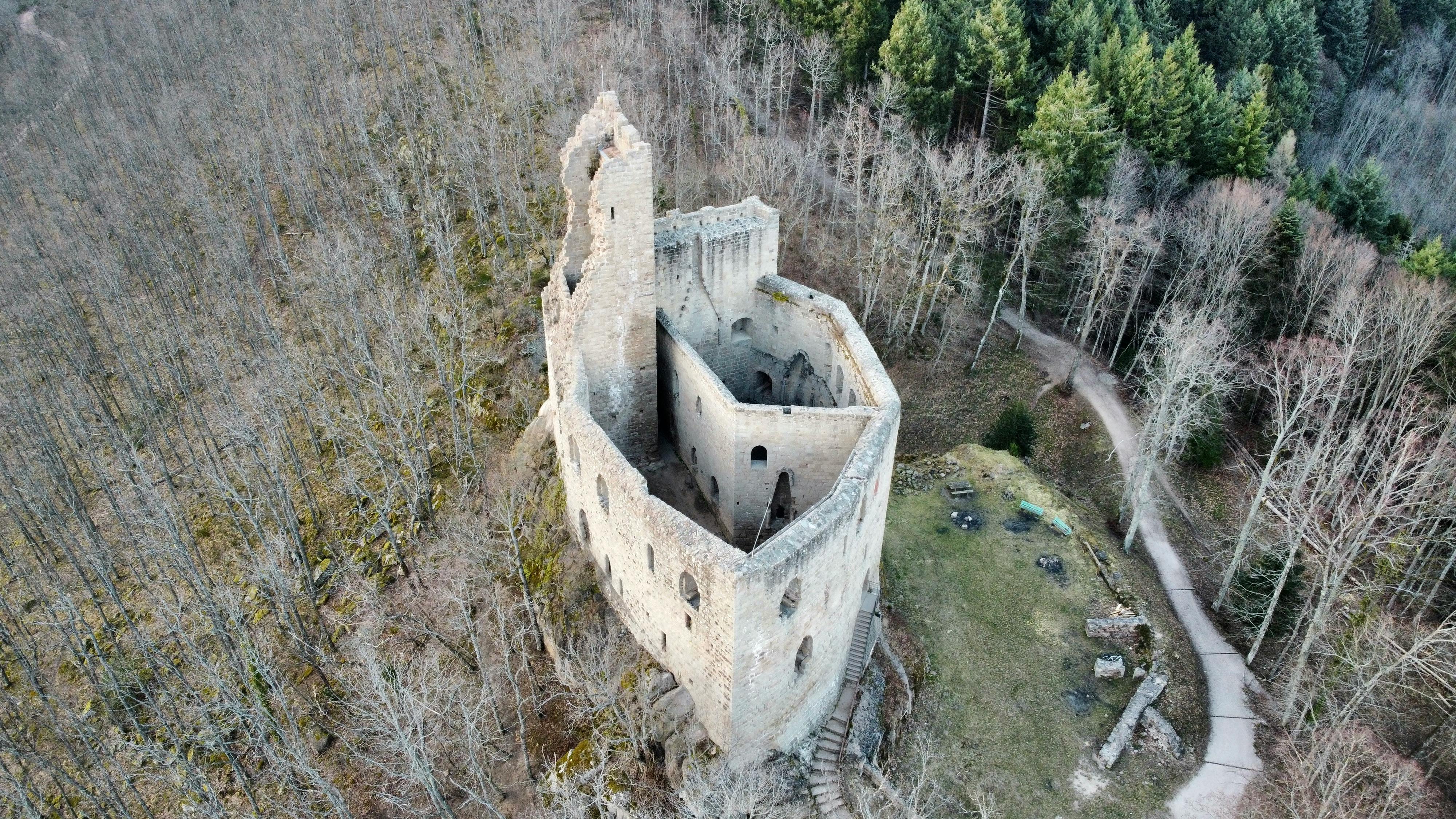 Abandoned Castle in Woods · Free Stock Photo
