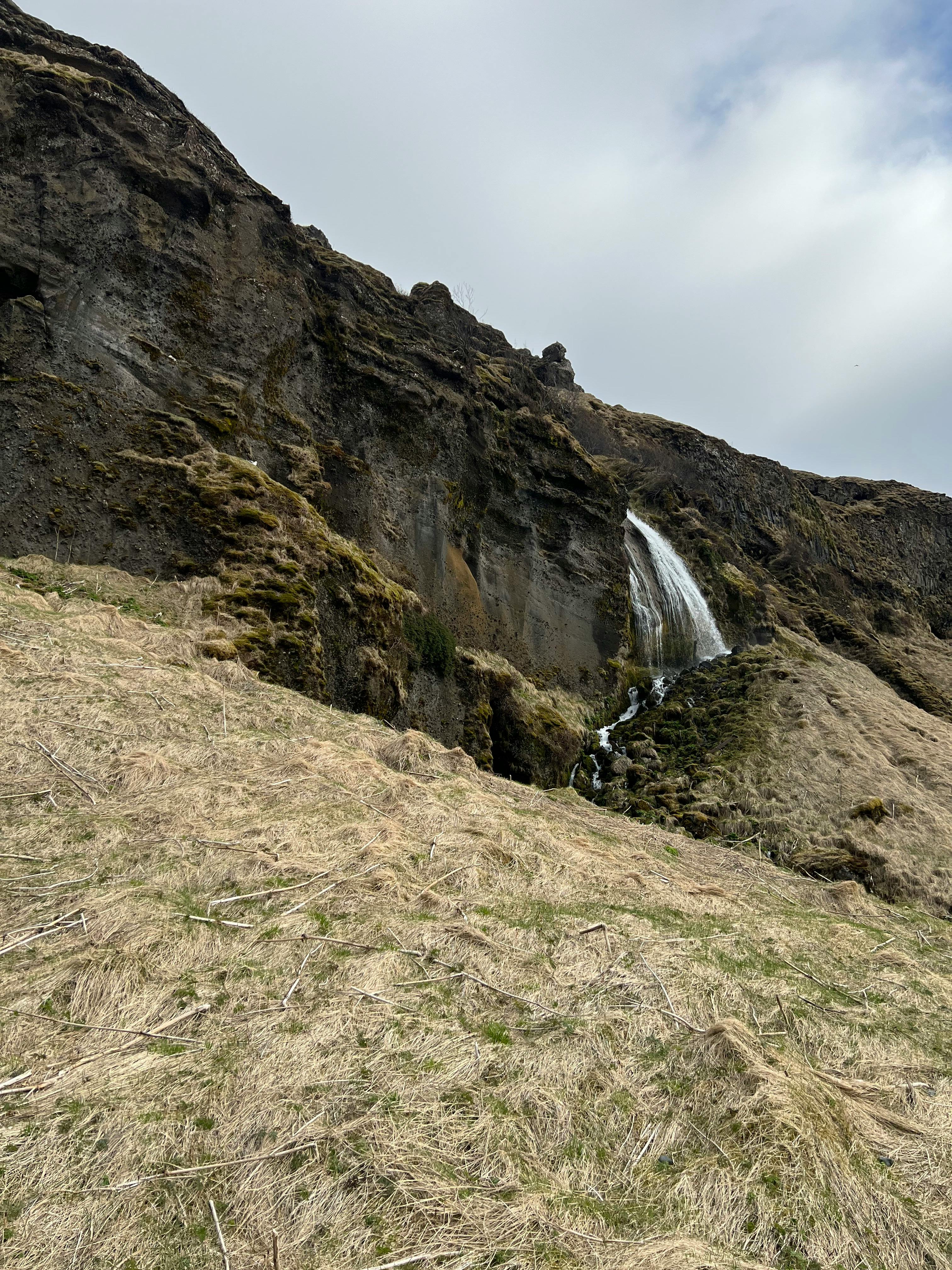 Park near Cliff with Scenic Waterfall · Free Stock Photo