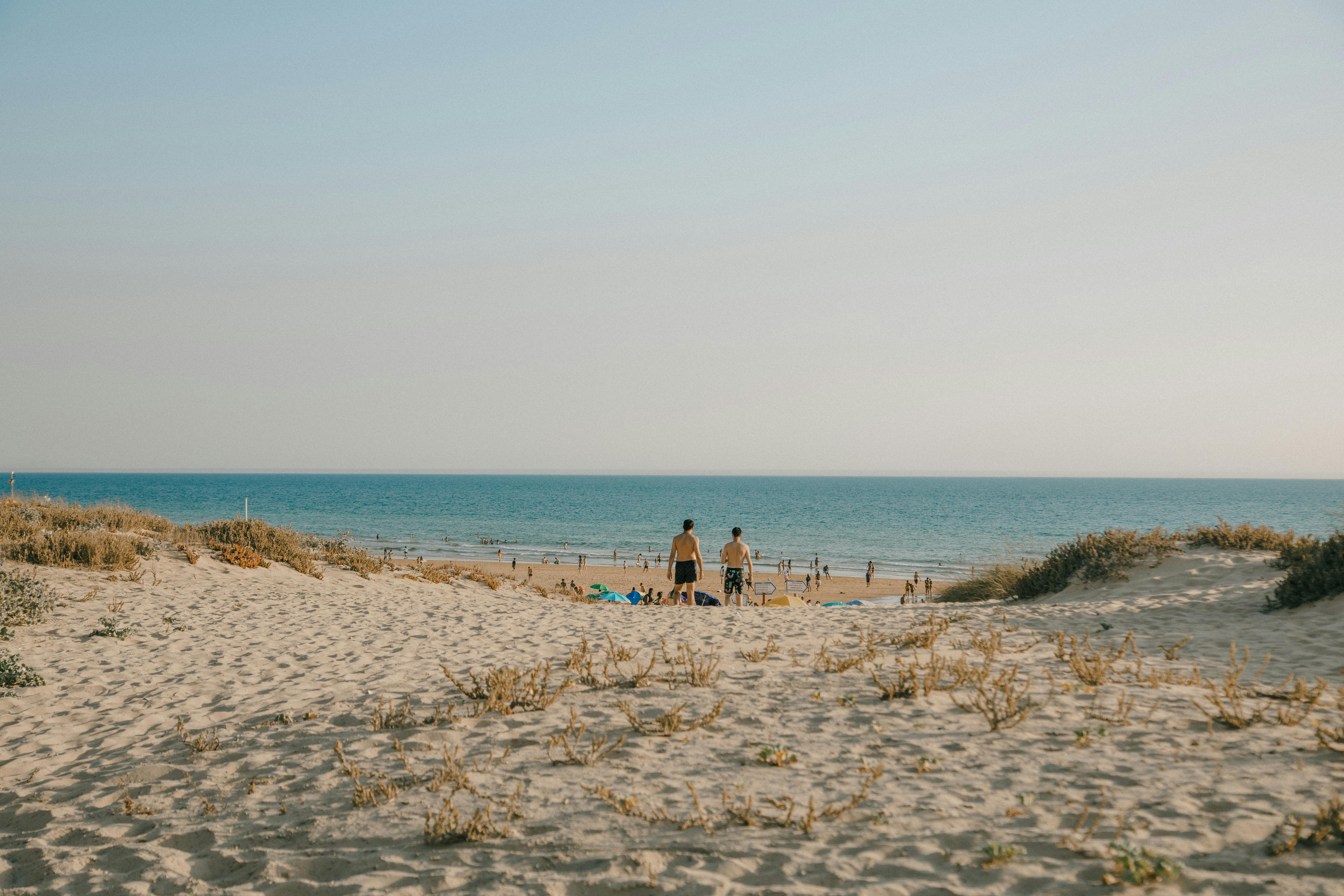 People on Beach · Free Stock Photo