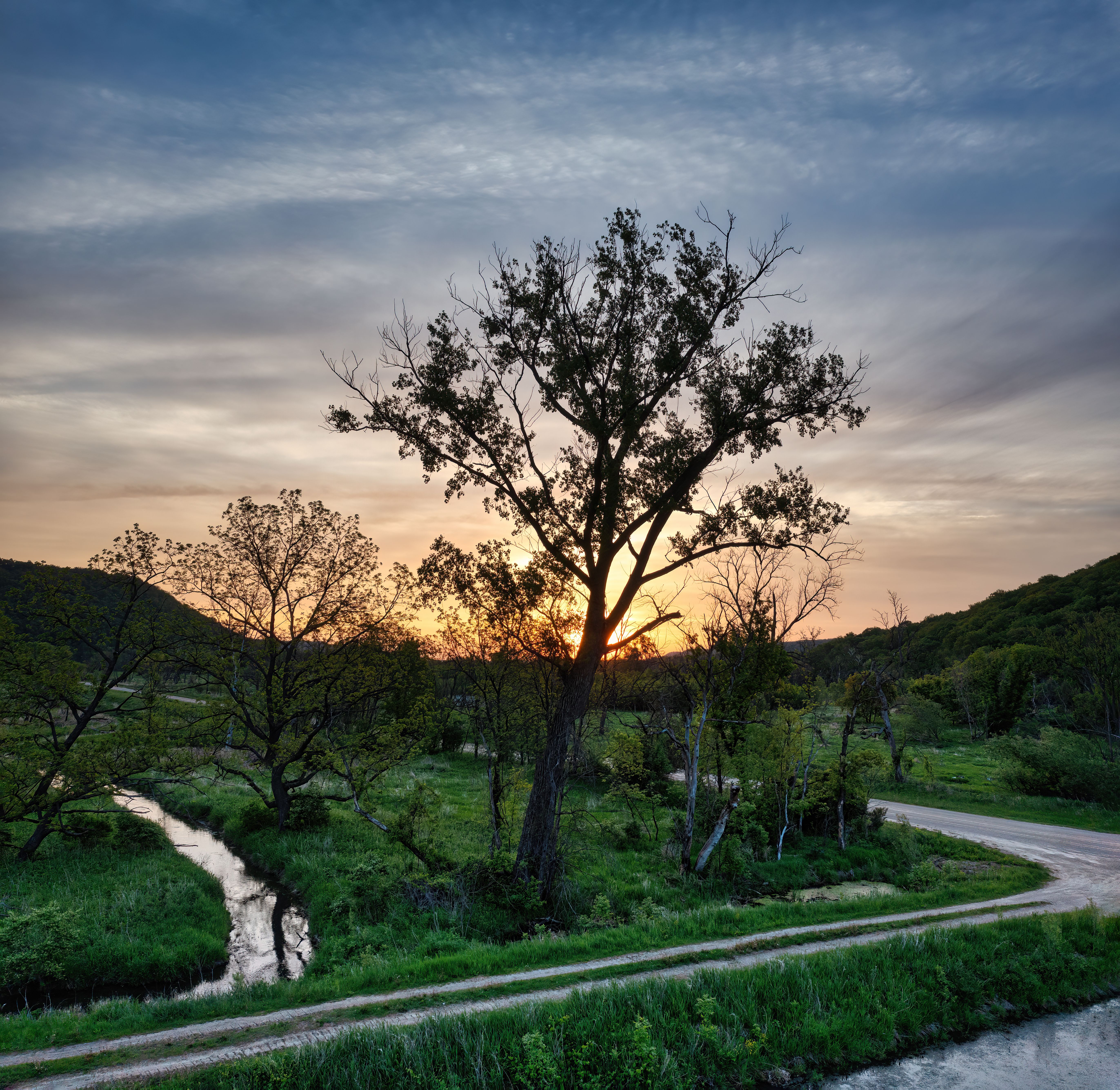 Sunset over Trees near Stream · Free Stock Photo