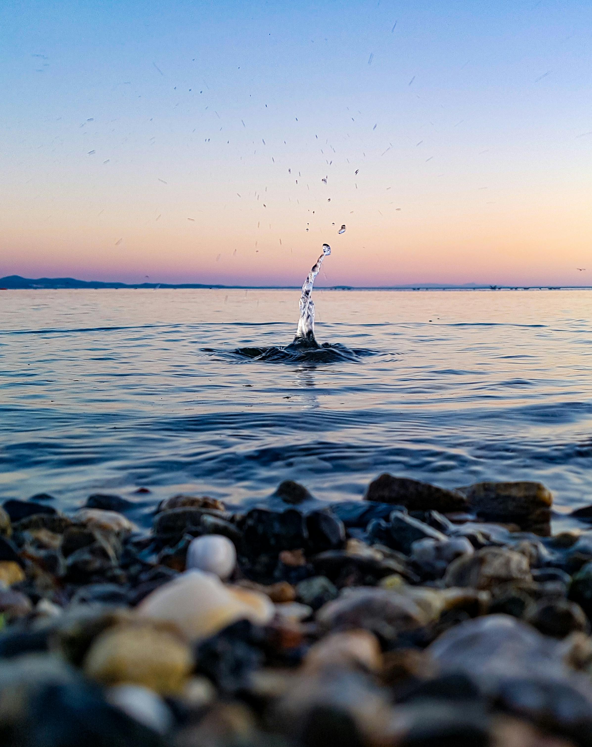 High-Speed Photography of a Water Splash · Free Stock Photo