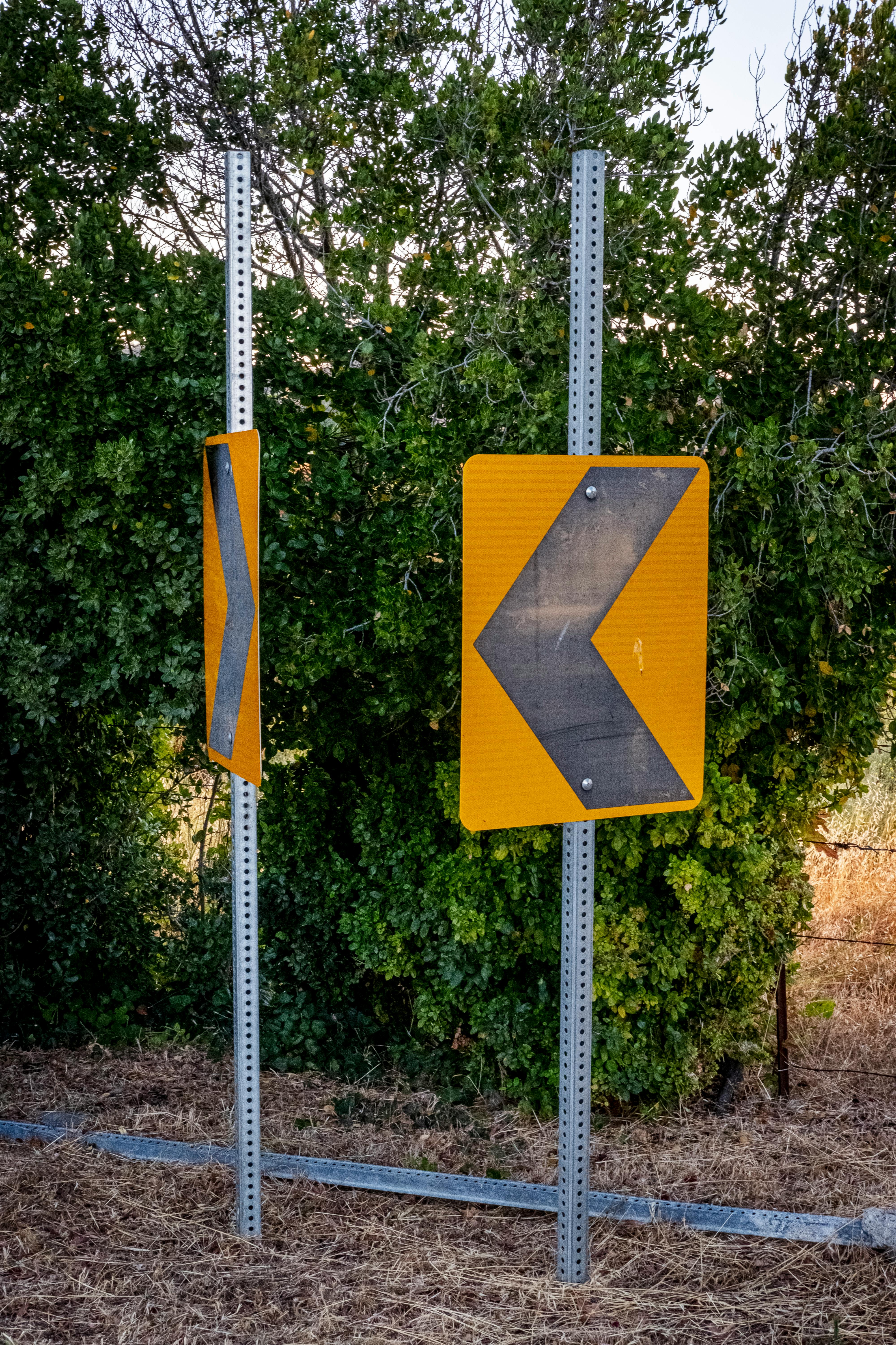 Arrows on Road Signs · Free Stock Photo