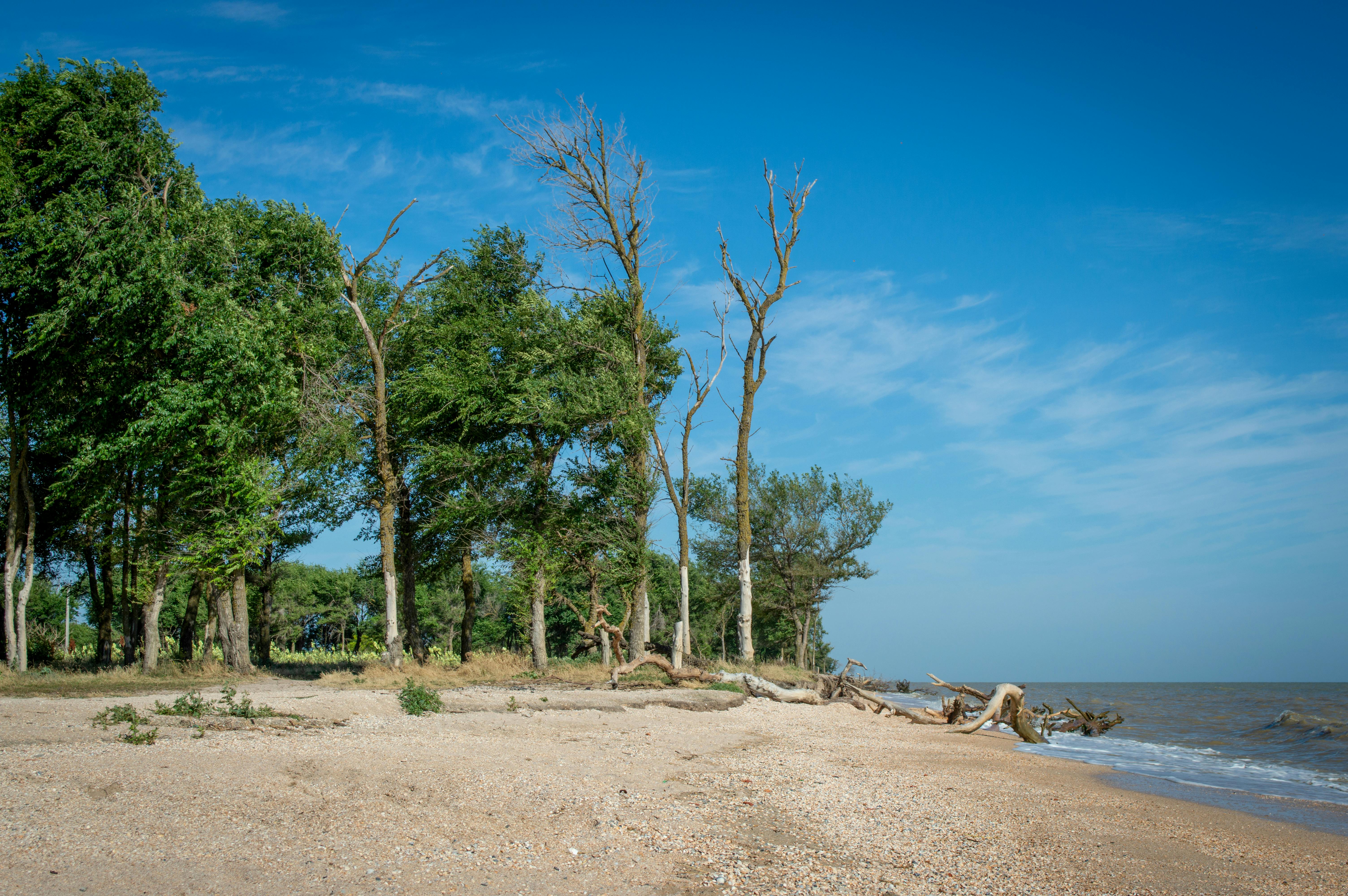 Name Raman Wallpaper Photos, Download Free Name Raman Wallpaper Stock ...