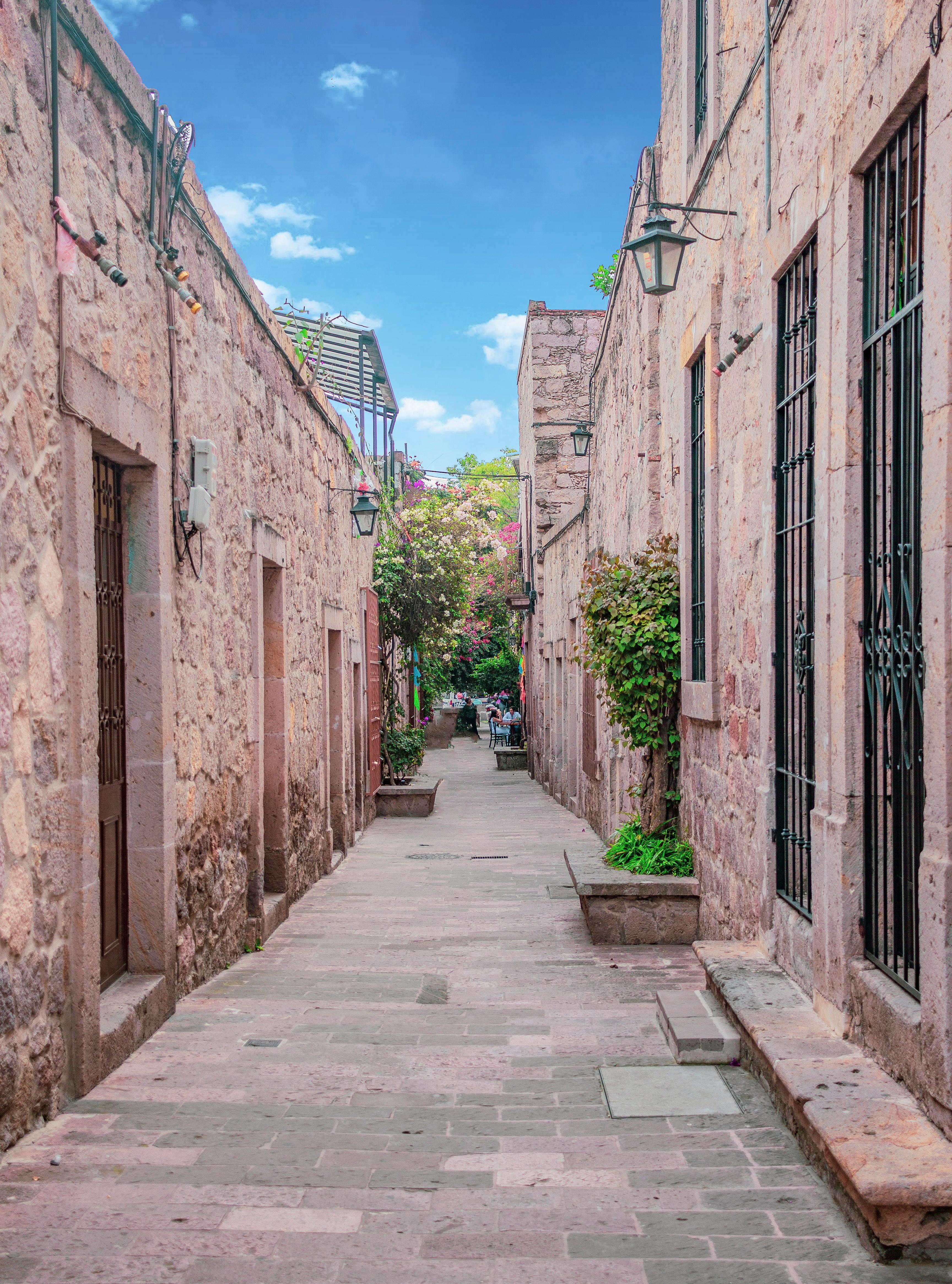 Strees Photos, Download The BEST Free Strees Stock Photos & HD Images