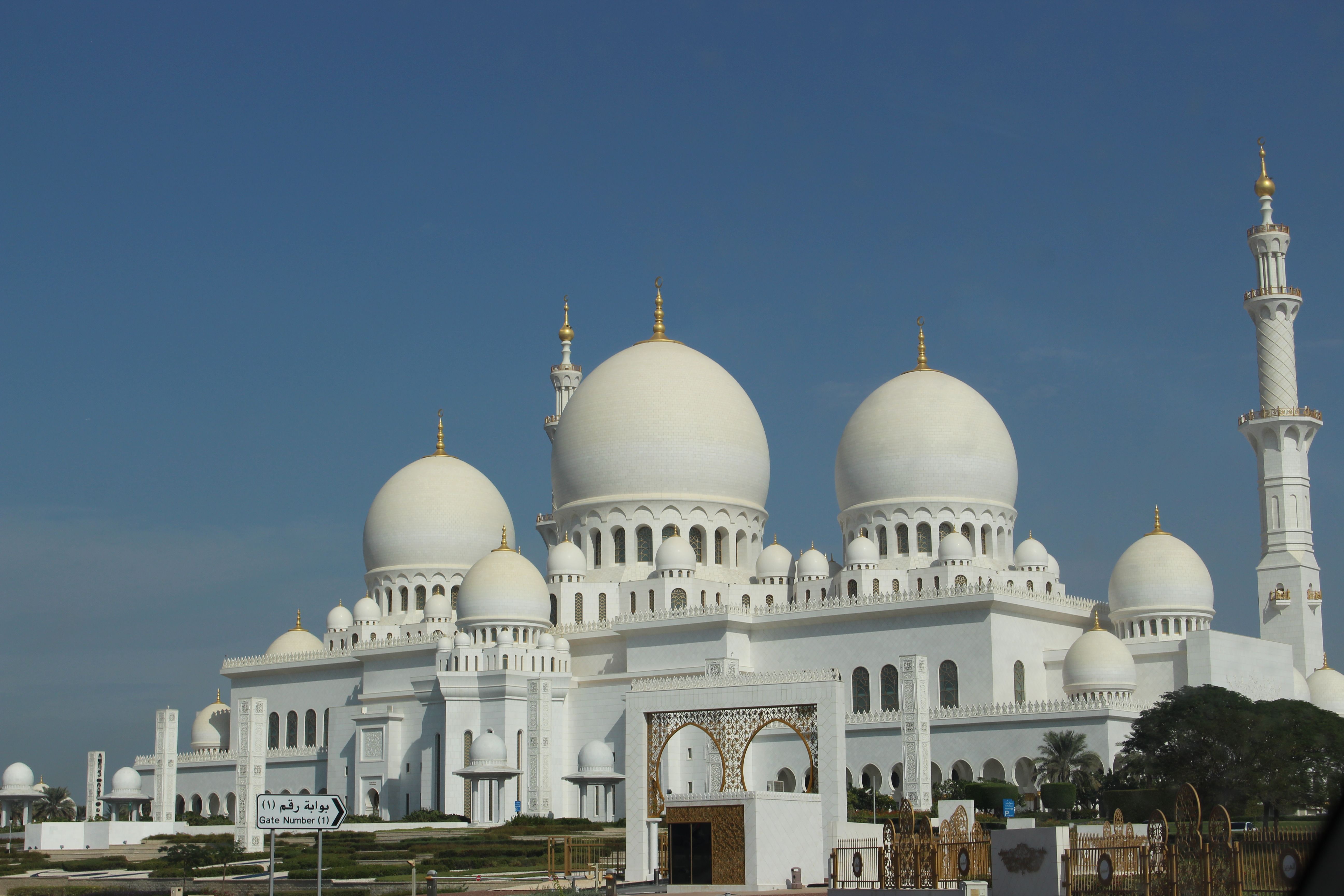 Saad Majeed - 사진