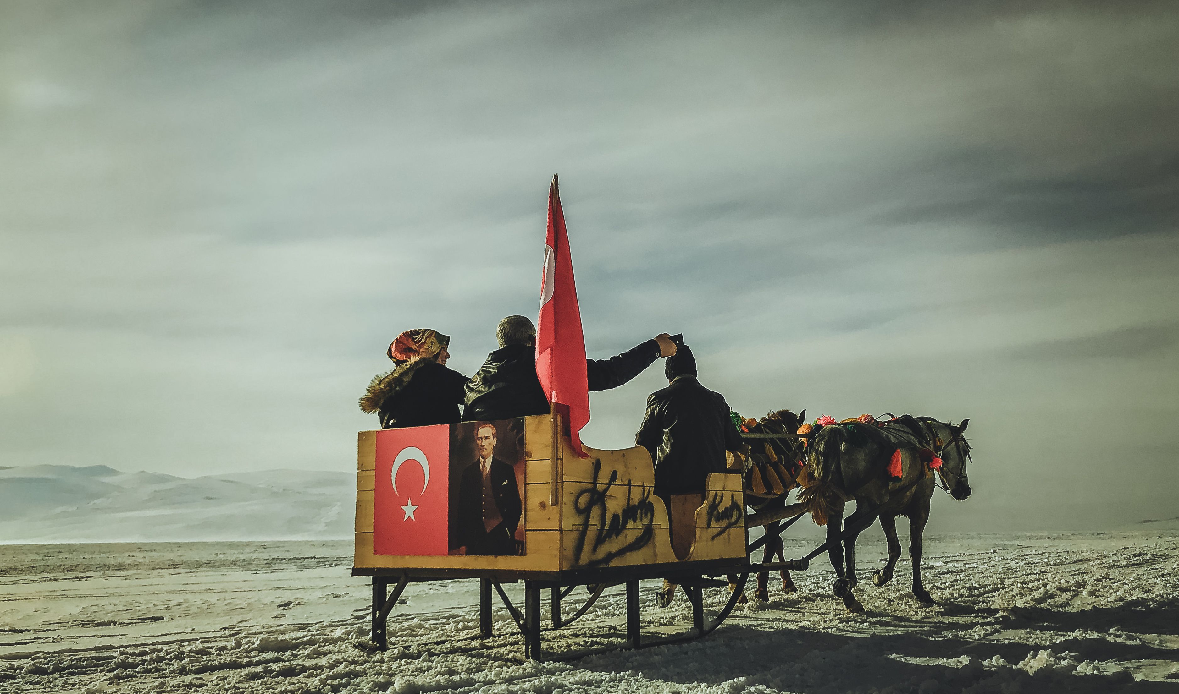 Horses Pulling a Sled in Winter · Free Stock Photo