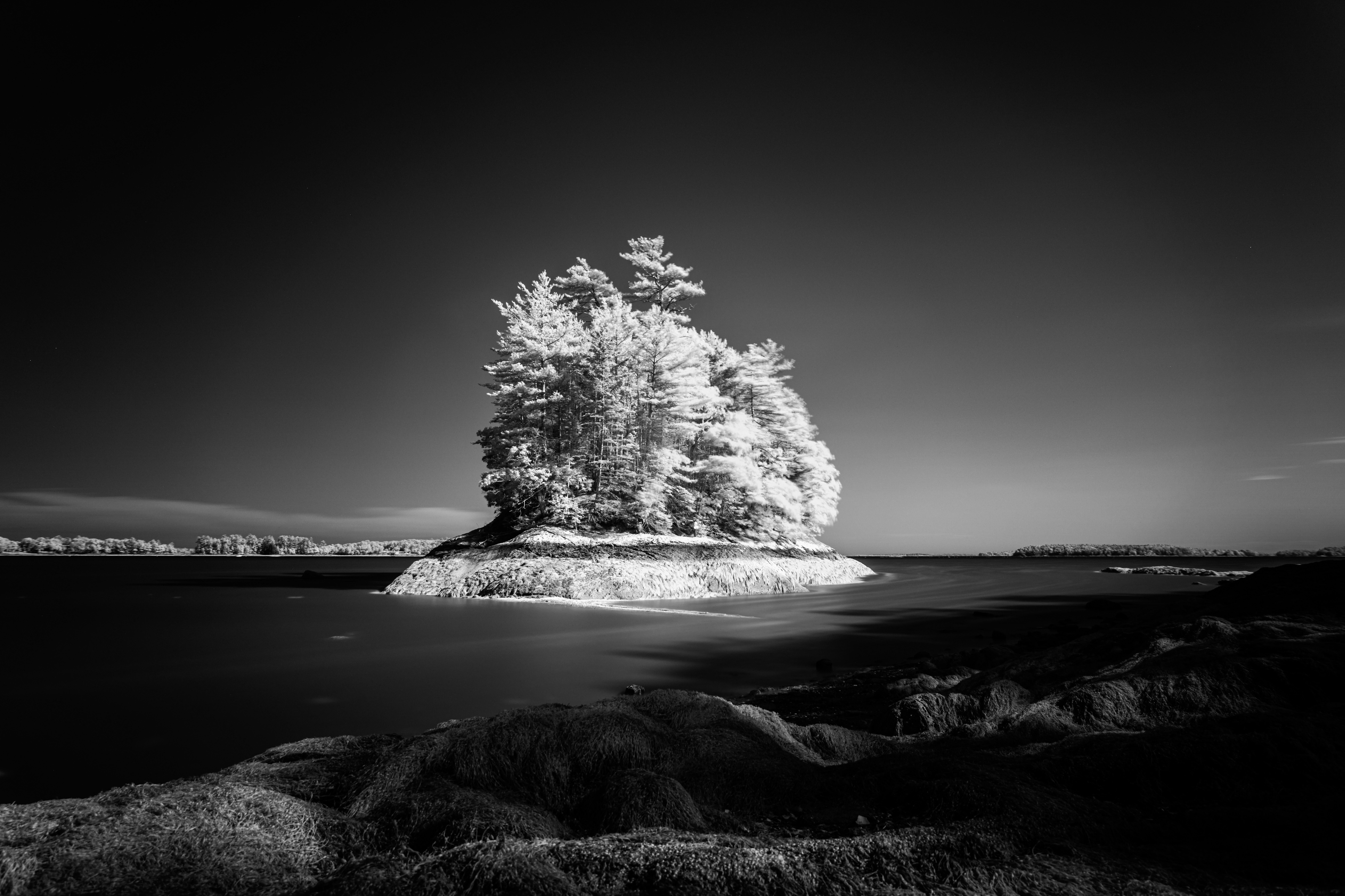 Grayscale Photo of Trees on an Island · Free Stock Photo