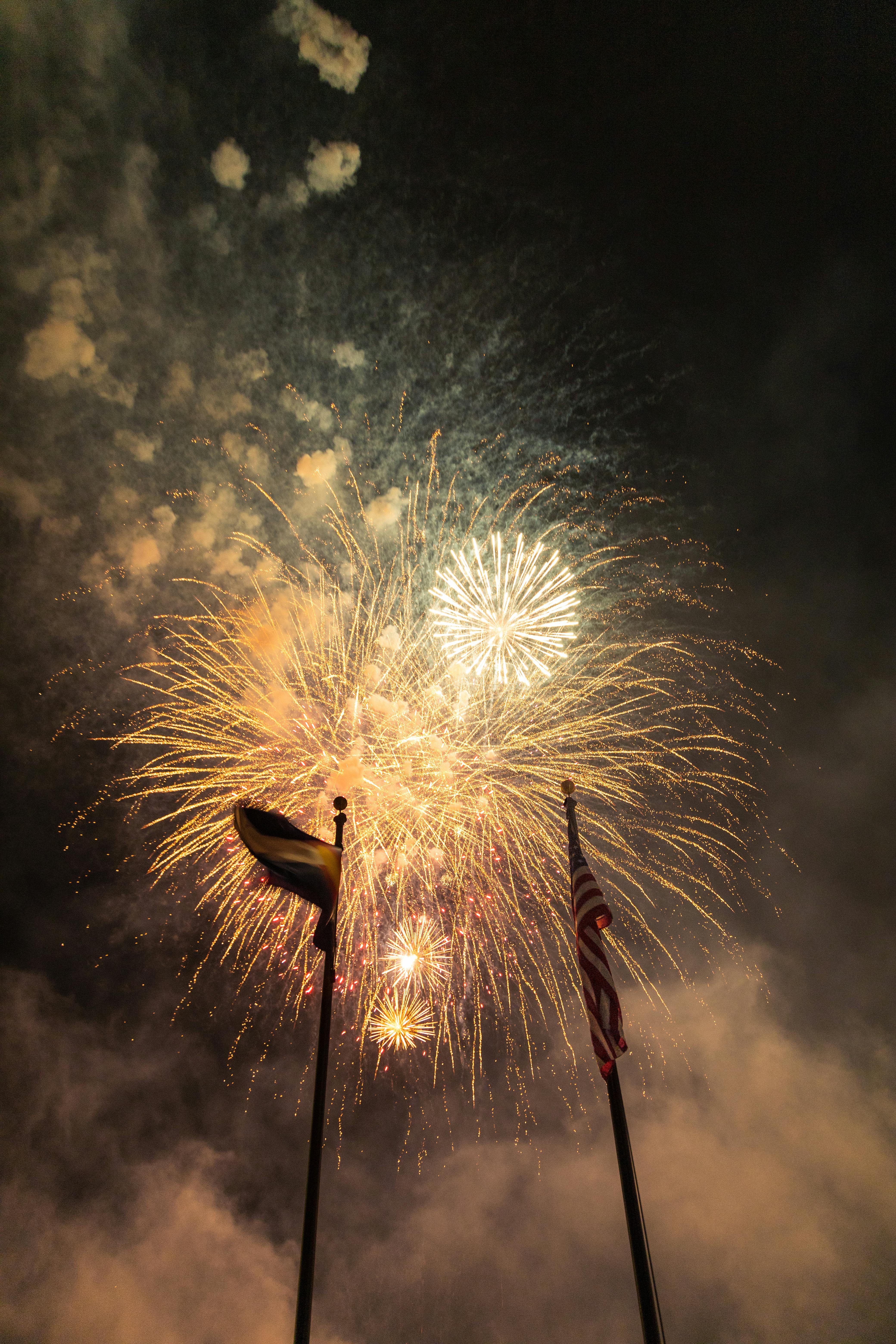 Beautiful Fireworks in the Sky · Free Stock Photo