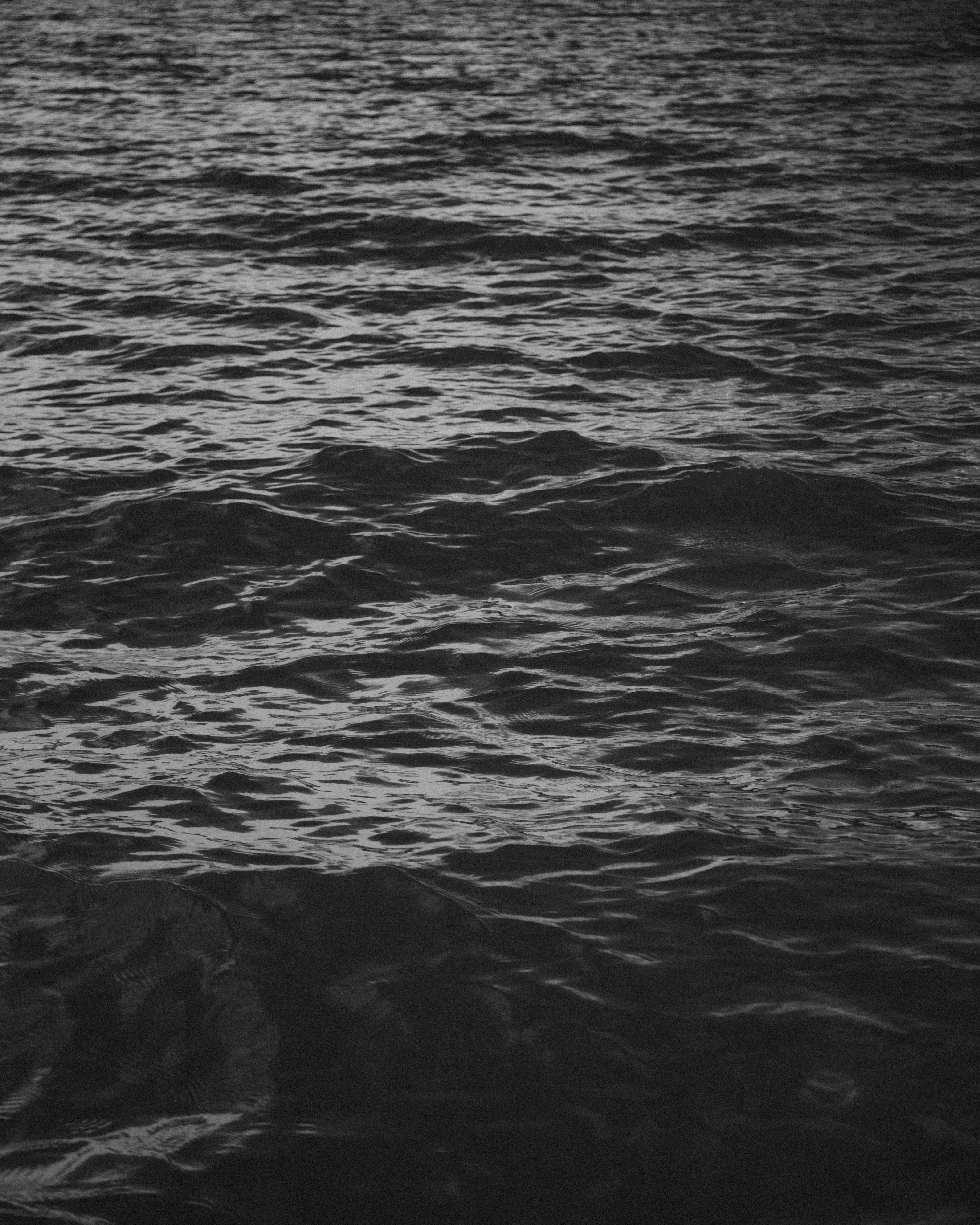 Grayscale Photography of Calm Water in the River · Free Stock Photo