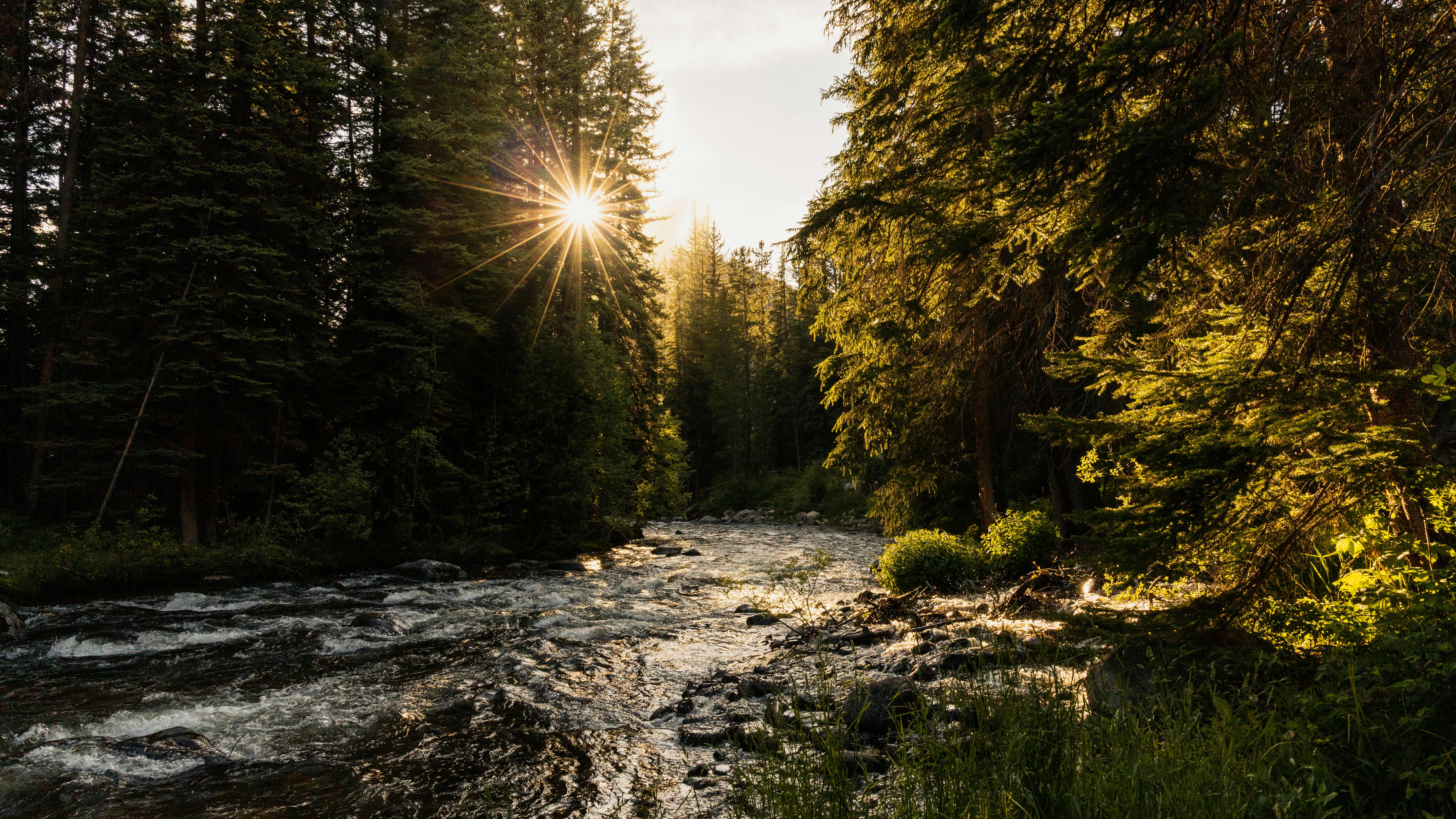 Photo of a River at Sunset · Free Stock Photo