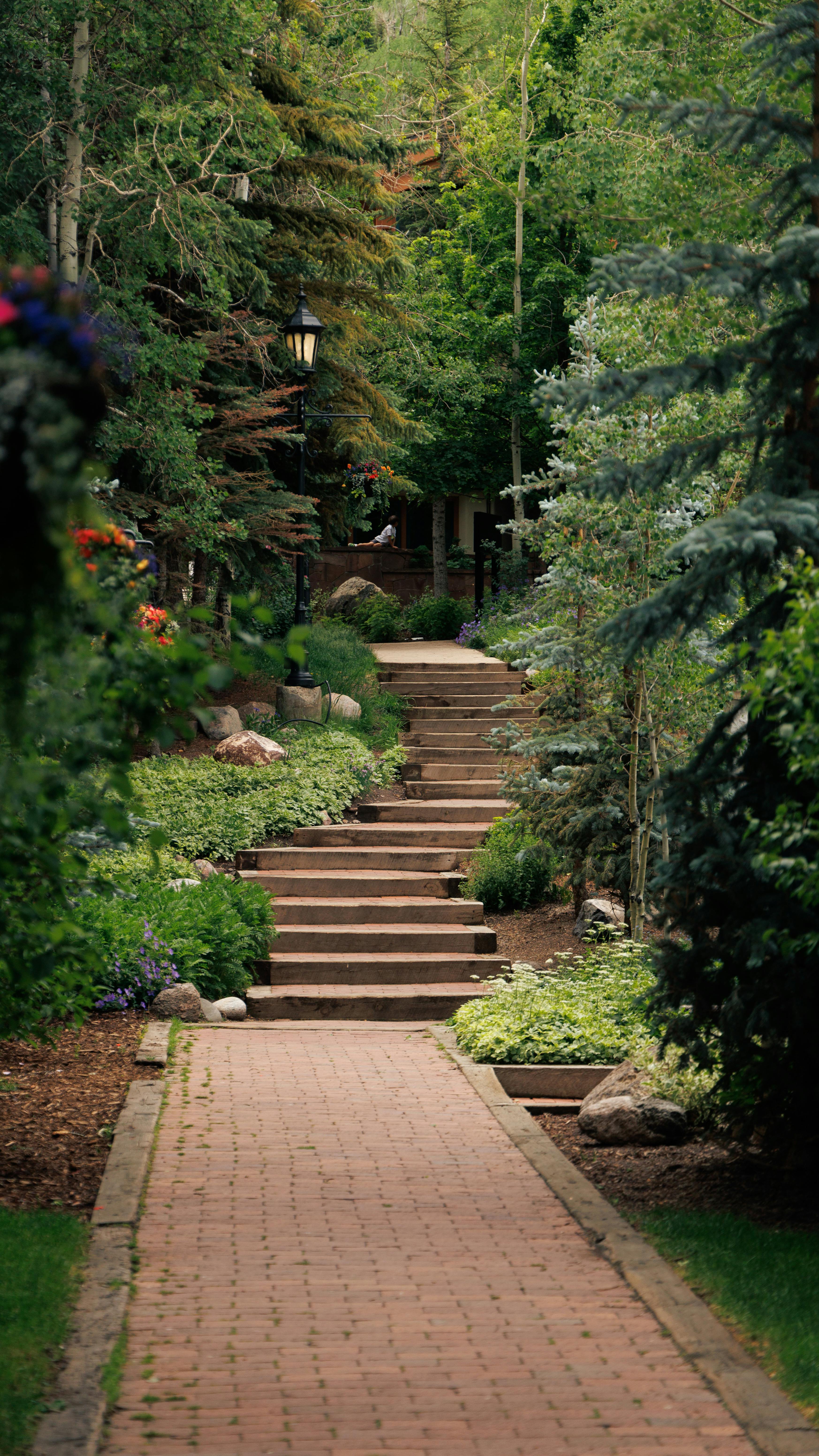 Footpath with Steps in Park · Free Stock Photo