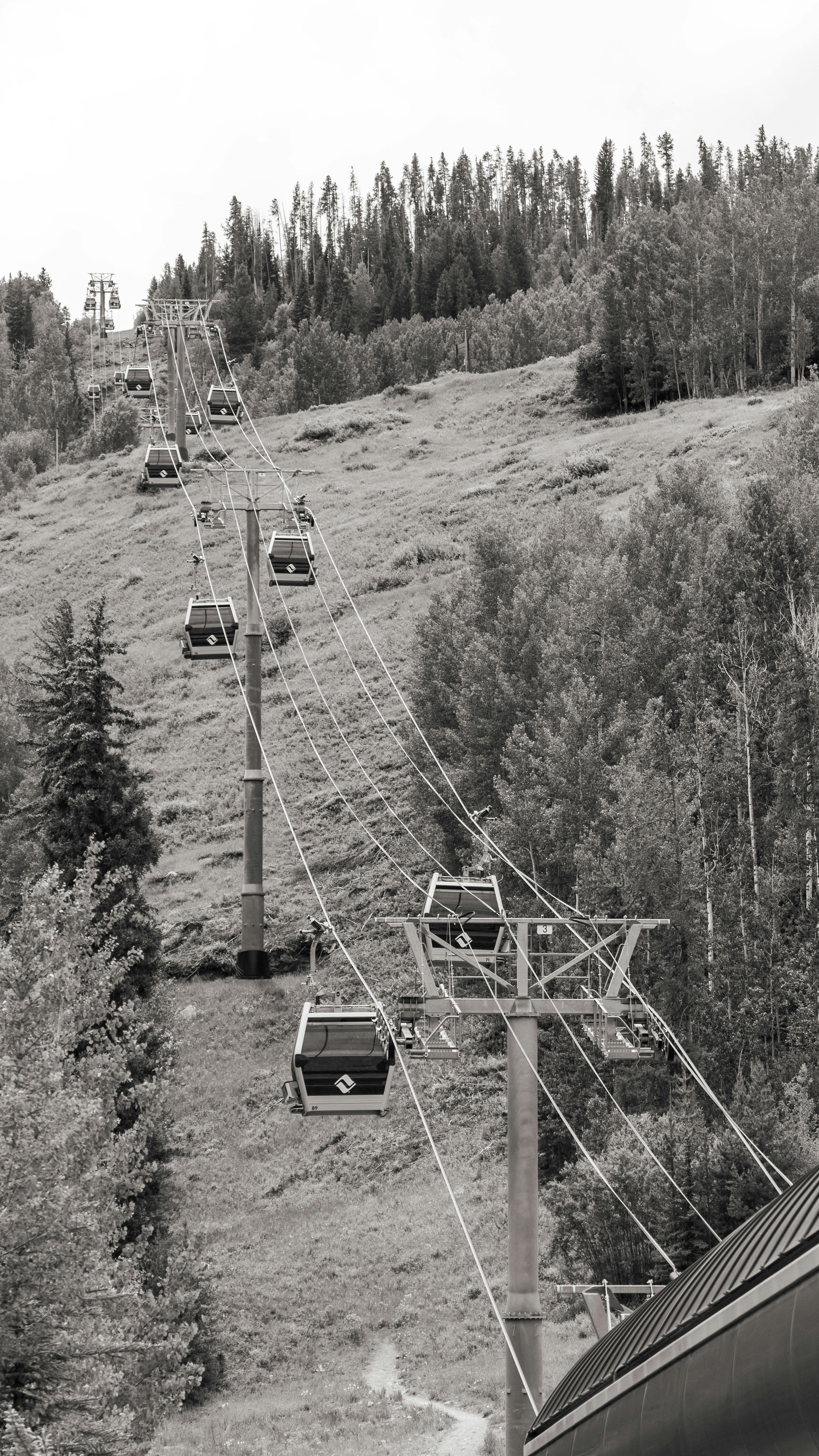 Cable Cars Passing between Trees · Free Stock Photo