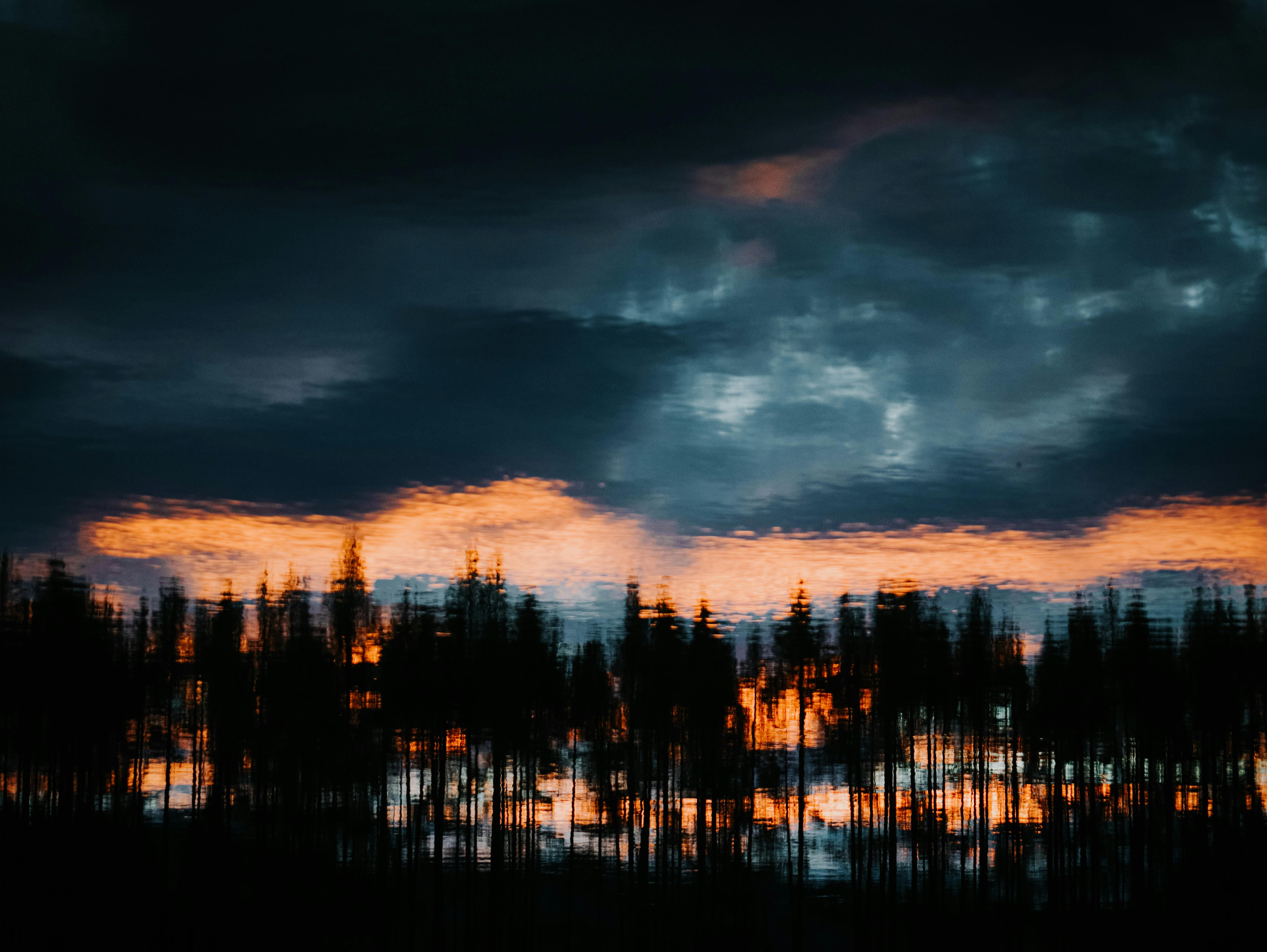 8k Wallpaper Forest Photos, Download Free 8k Wallpaper Forest Stock ...