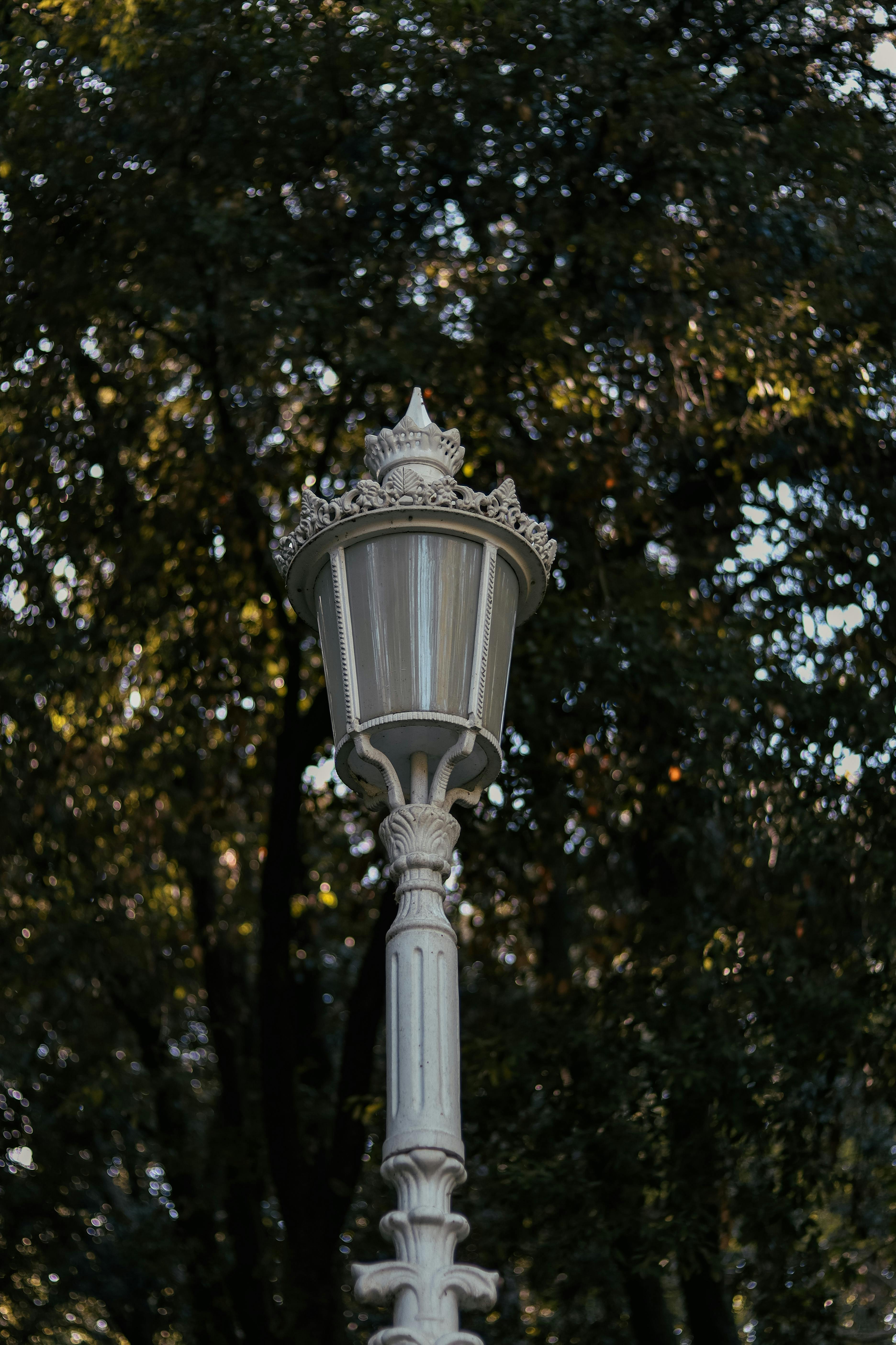 Street Lamp and Tree behind · Free Stock Photo