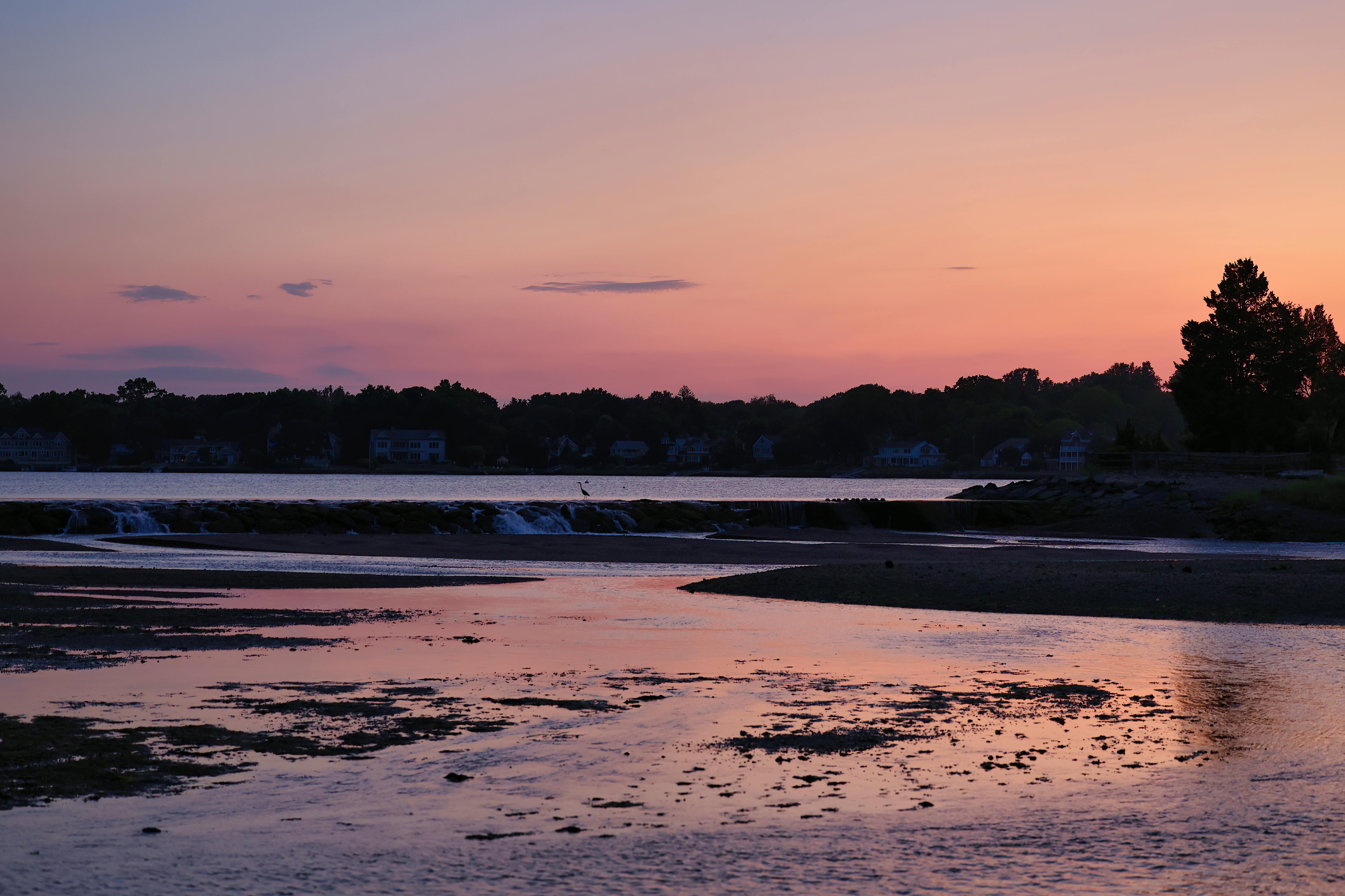 River in the Evening · Free Stock Photo