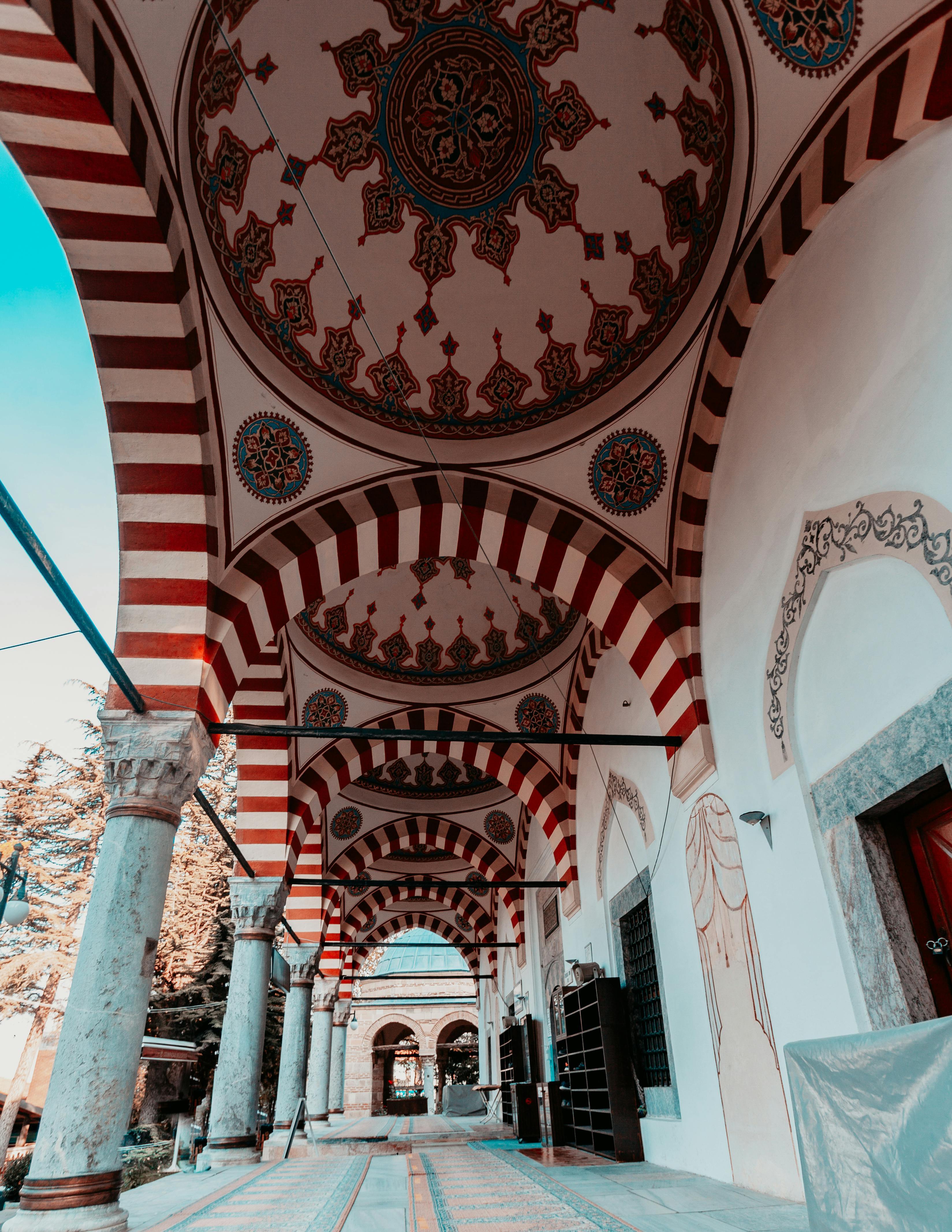 Details! Photos, Download The BEST Free Details! Stock Photos & HD Images