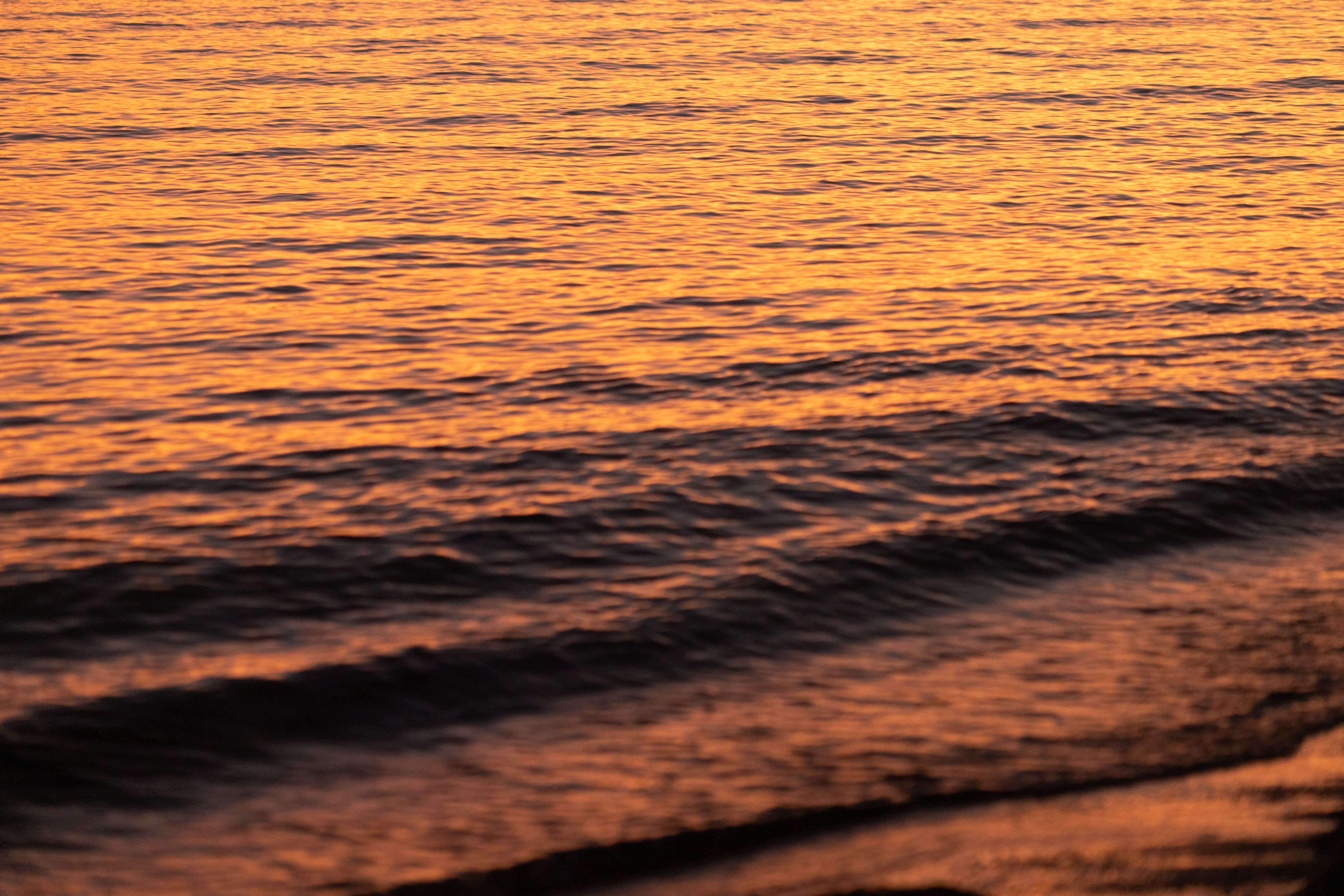 Person Hand Throwing Water on Sea Shore at Sunset · Free Stock Photo