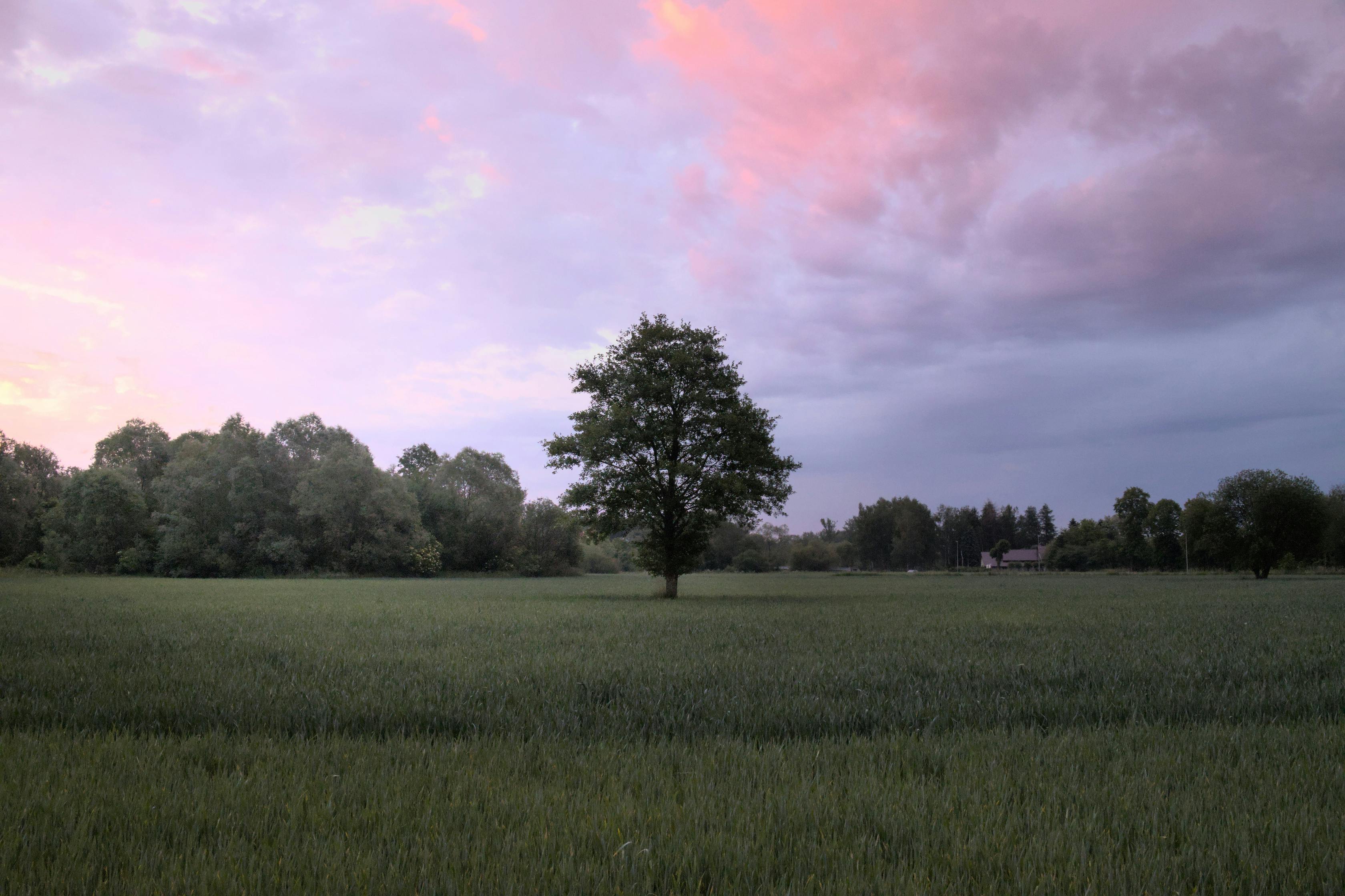 Countryside Landscape at Sunset · Free Stock Photo